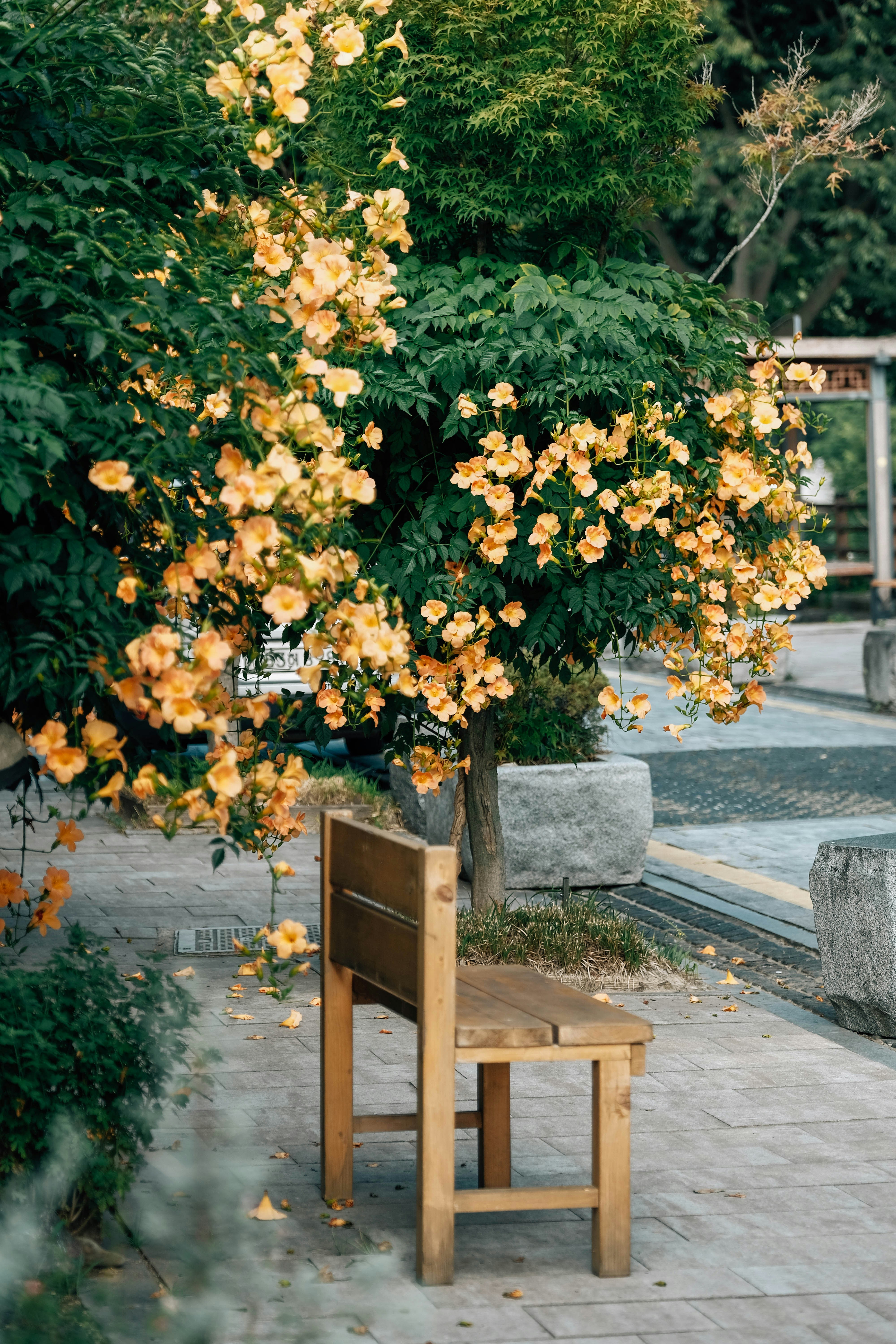 Whispers of Nature: A Quiet Retreat