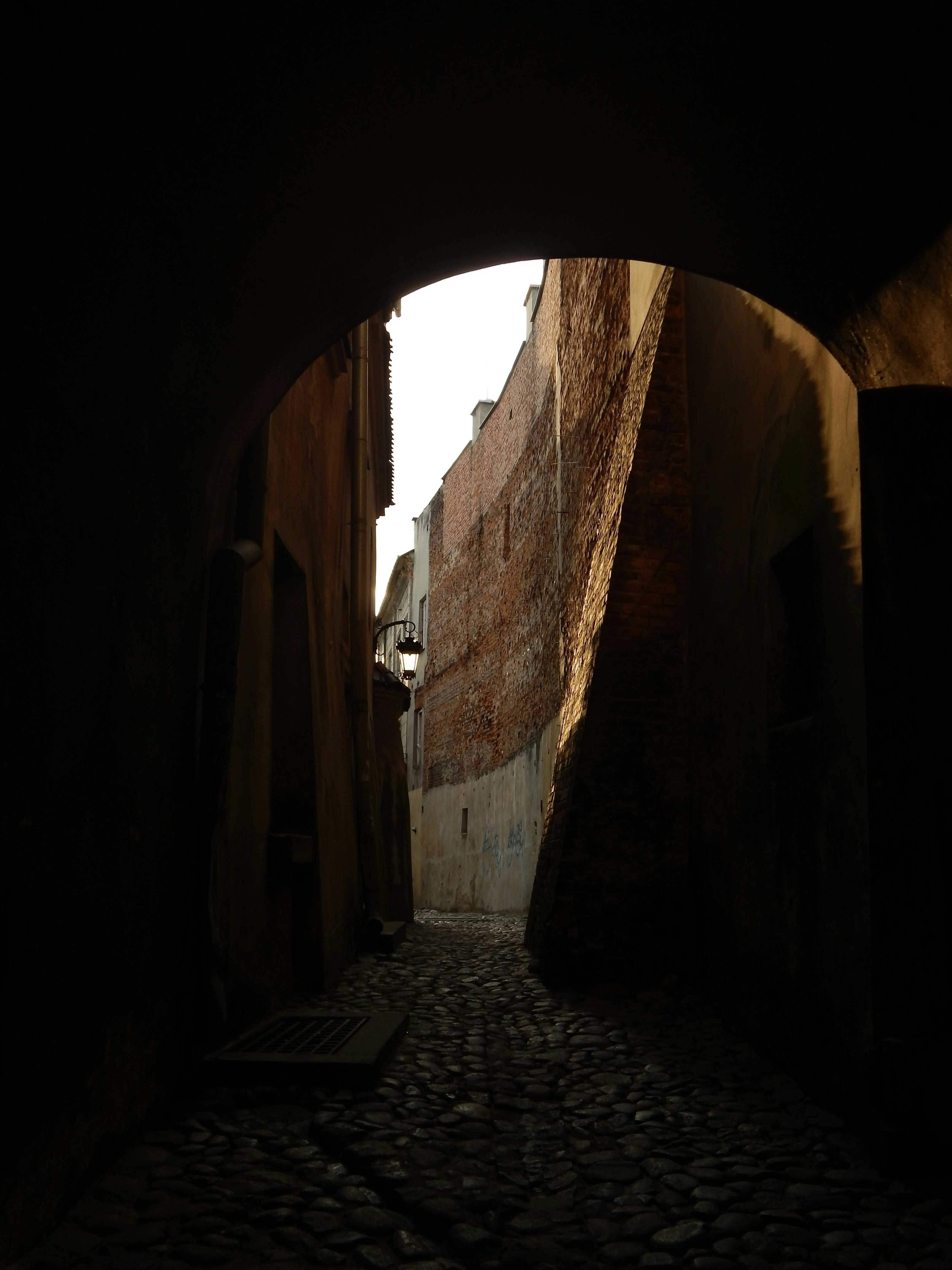 Looking through an arched passageway at a brick wall.