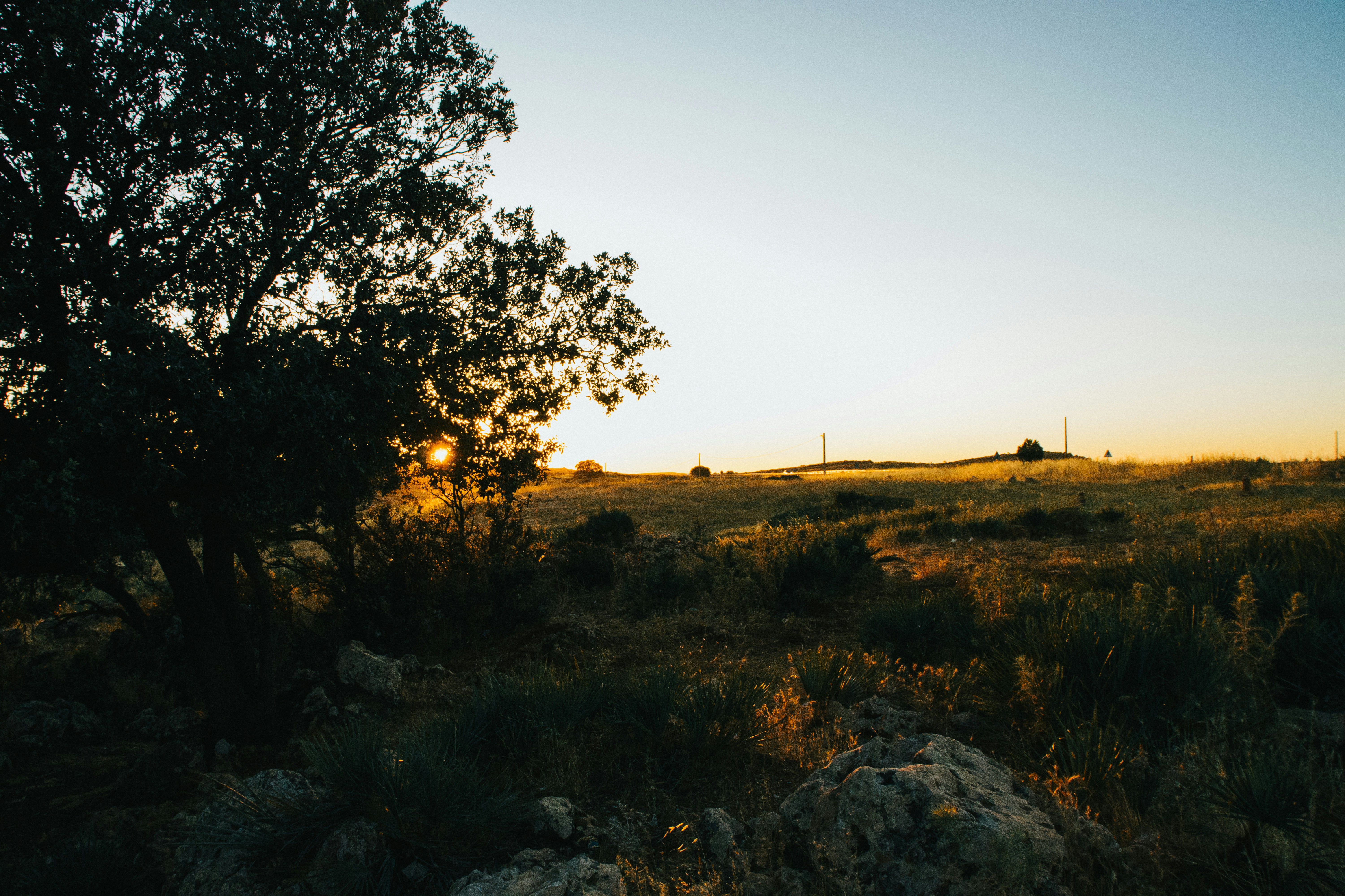 Sunset casts a golden glow over the landscape.