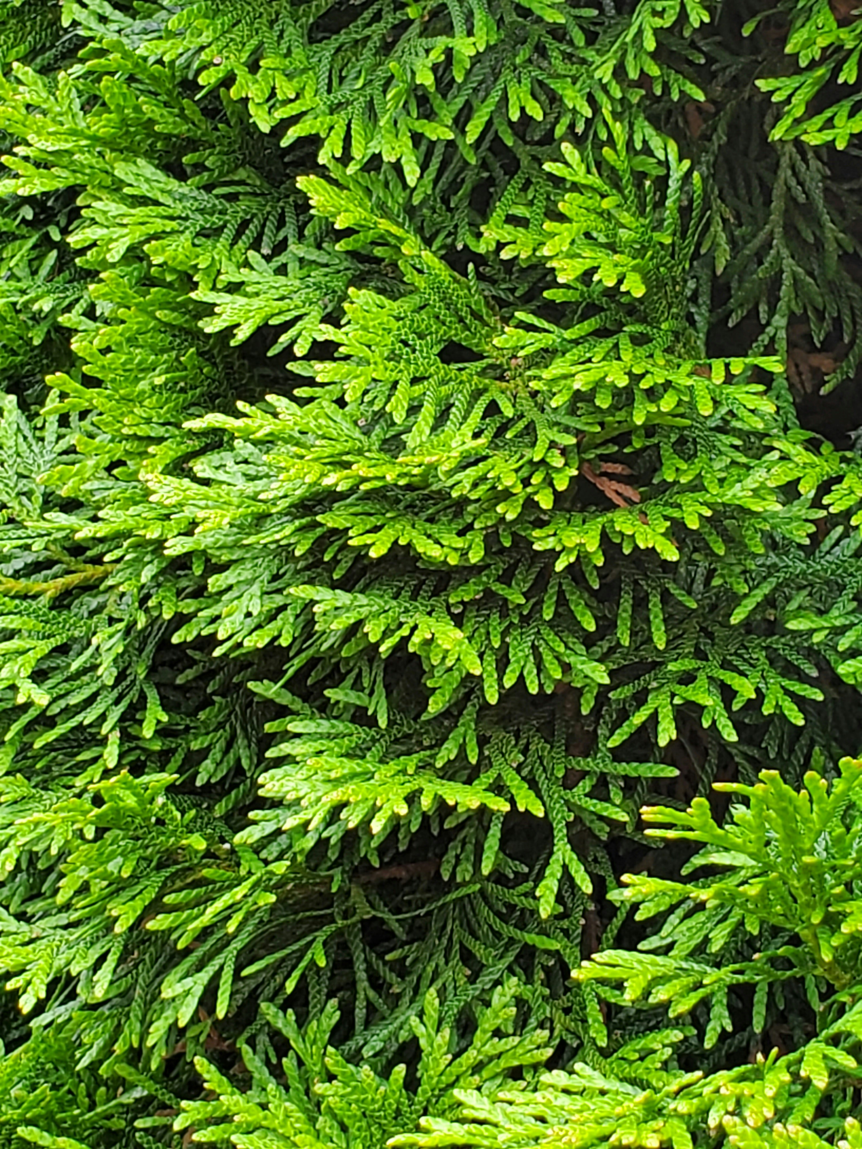 Annie Lang (@anniethingspossible) | Unsplash 사진 커뮤니티
