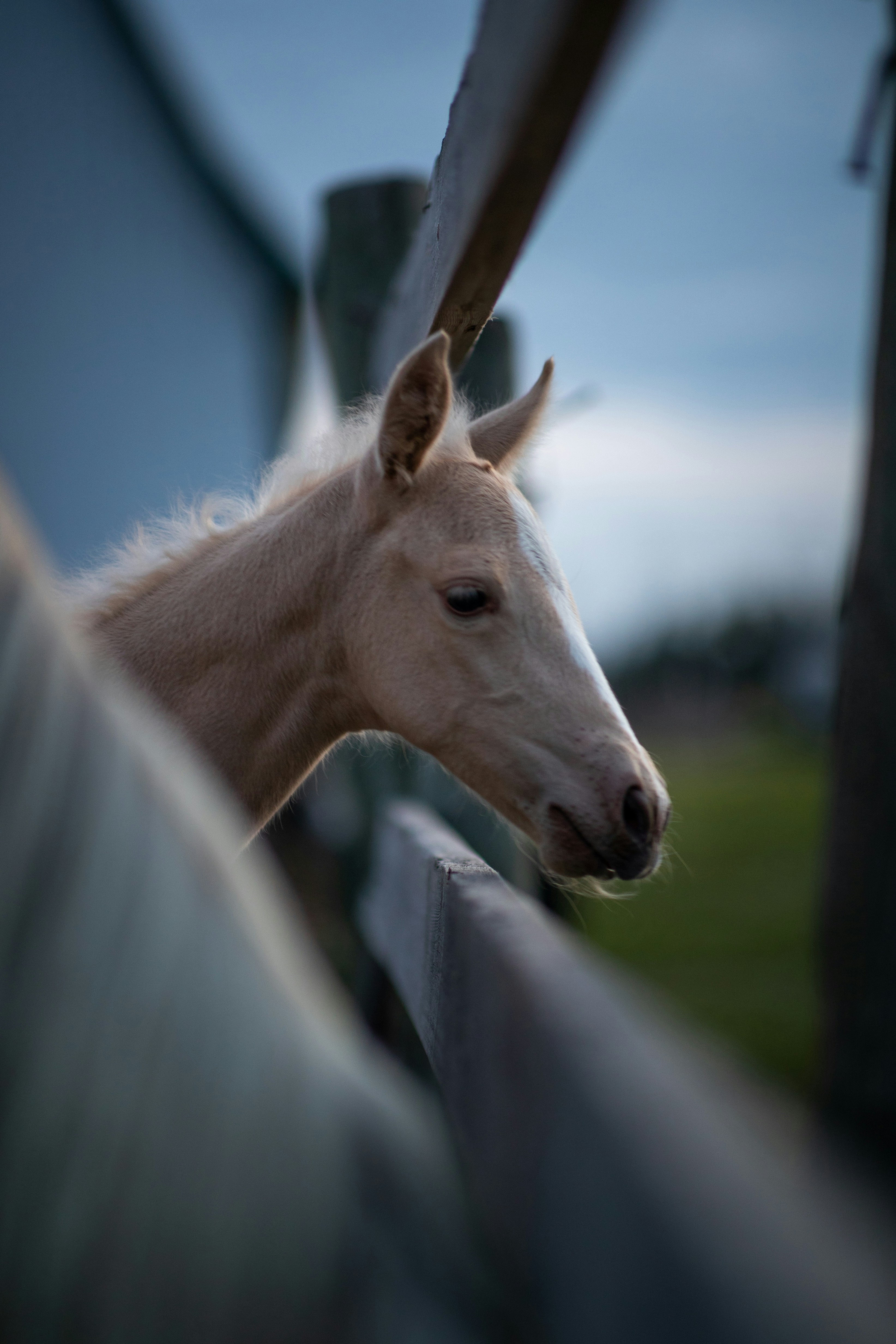 Photo by Tandem X Visuals with Canon EOS-1D X Mark II