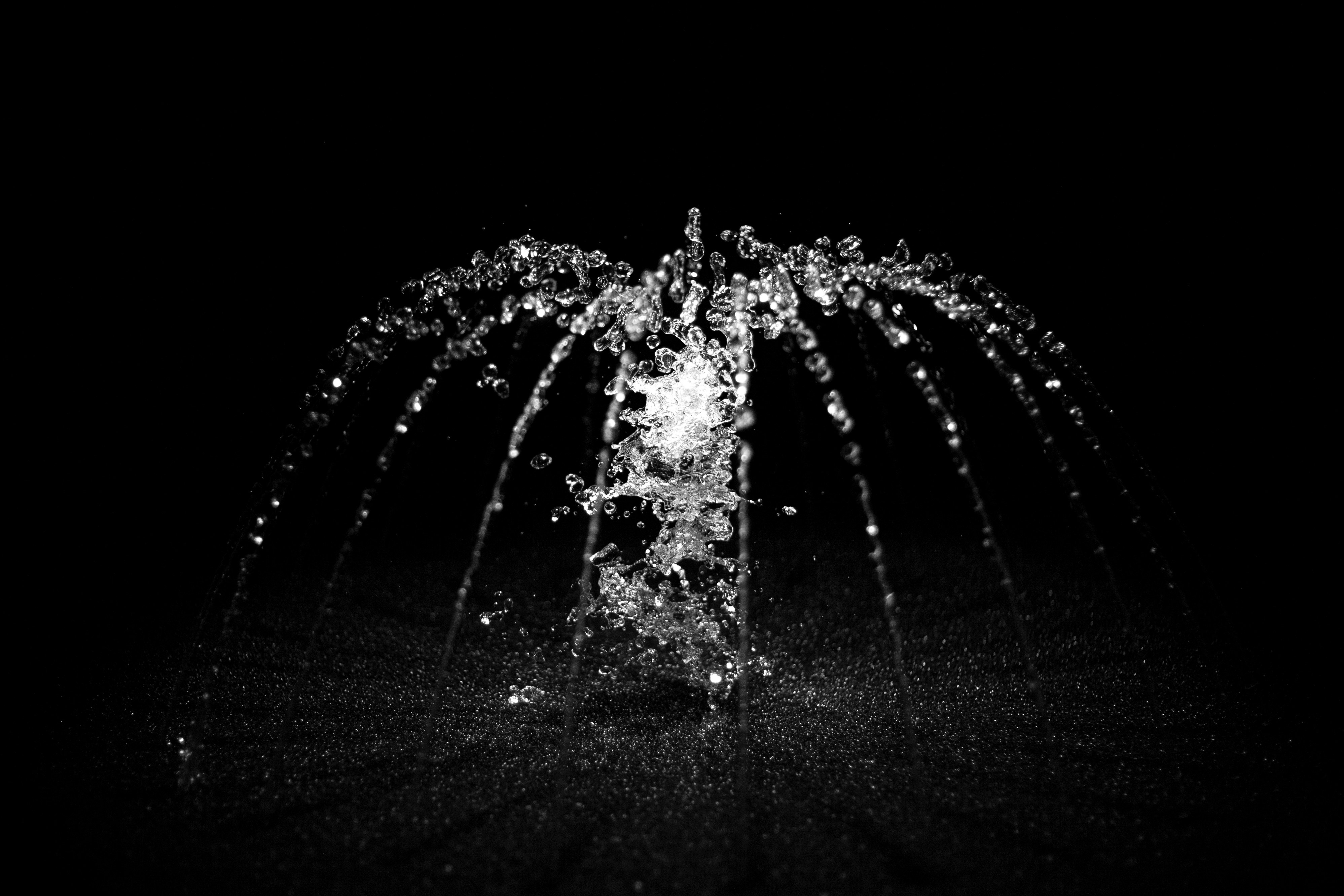 A Dance of Water in Shadows