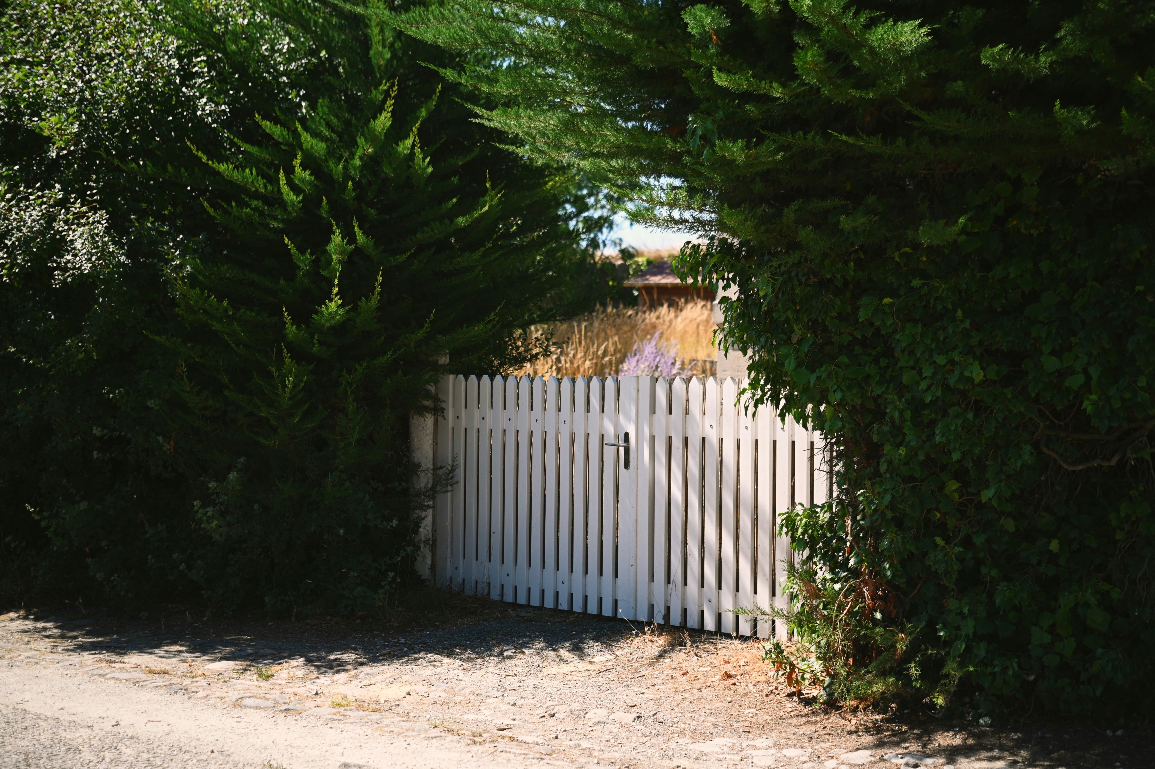 Gateway to Serenity: A Hidden Escape