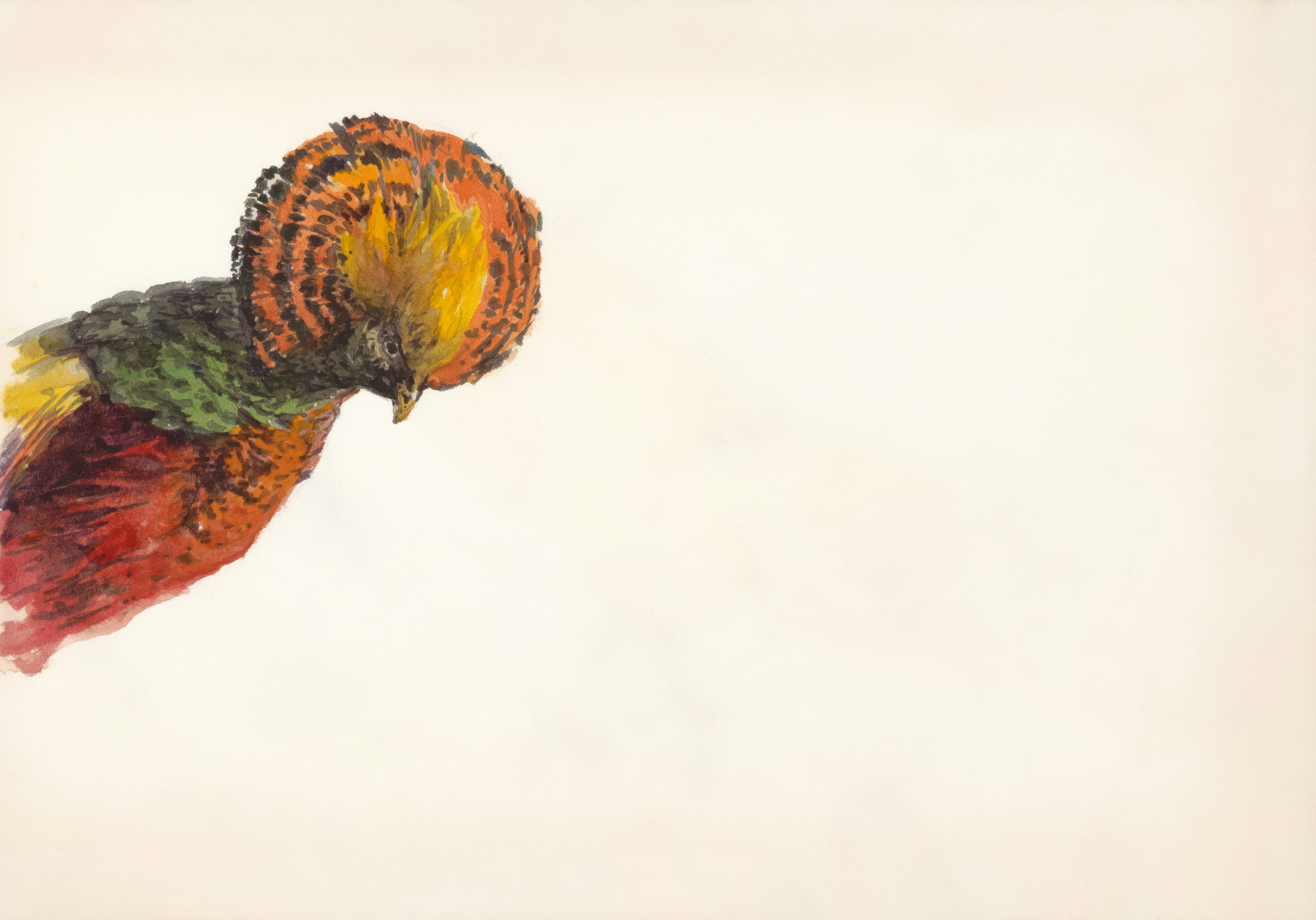 A beautifully illustrated bird with vibrant plumage, poised gracefully against a soft, neutral background.