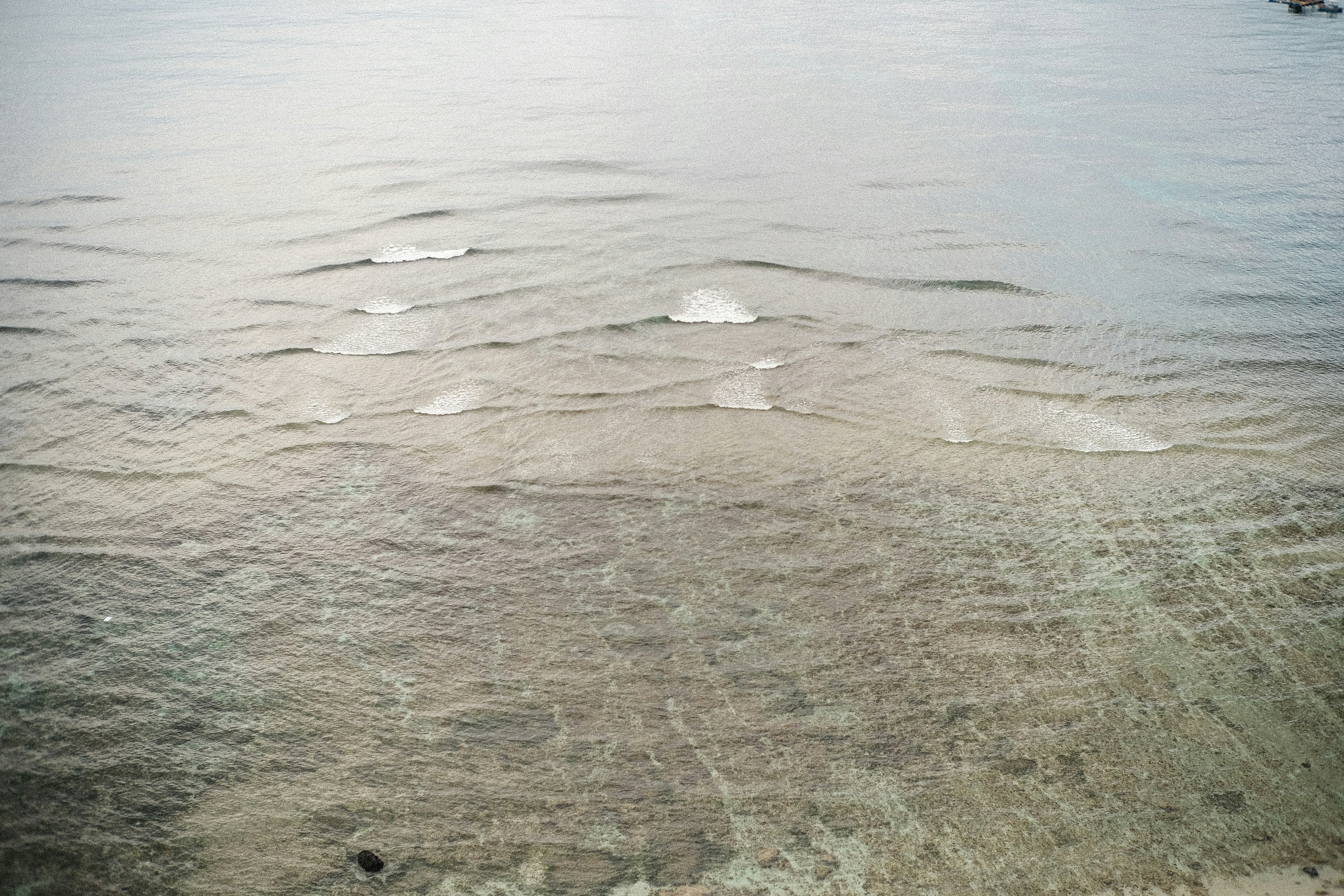 Whispers of the Shallow Tide