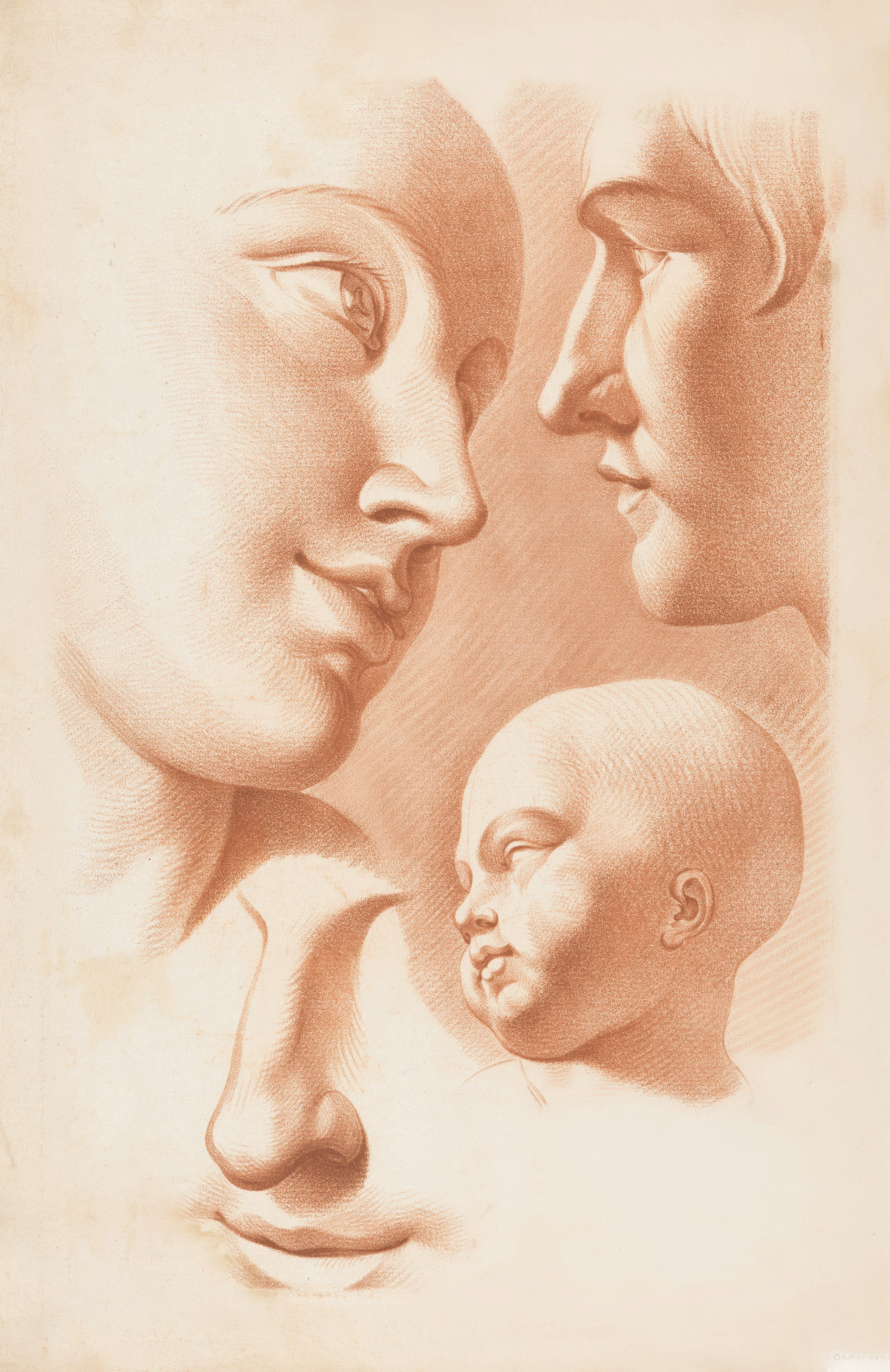 A detailed study of human faces, showcasing the delicate features of a woman, a child, and various angles of a nose. The artwork emphasizes the connection between generations.