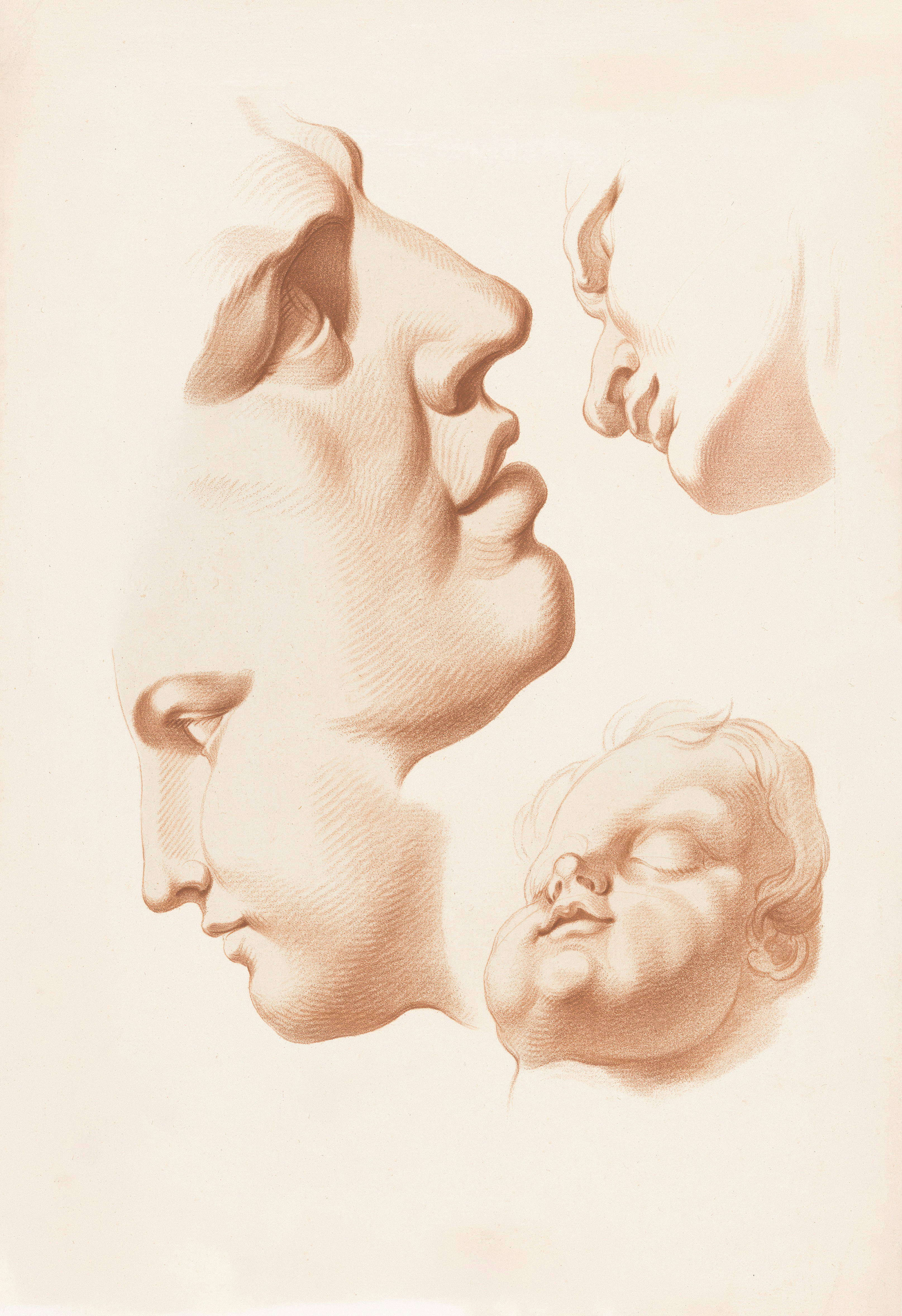 Graphite sketches showcasing various human profiles and expressions, emphasizing the intricacies of facial structure and emotion.