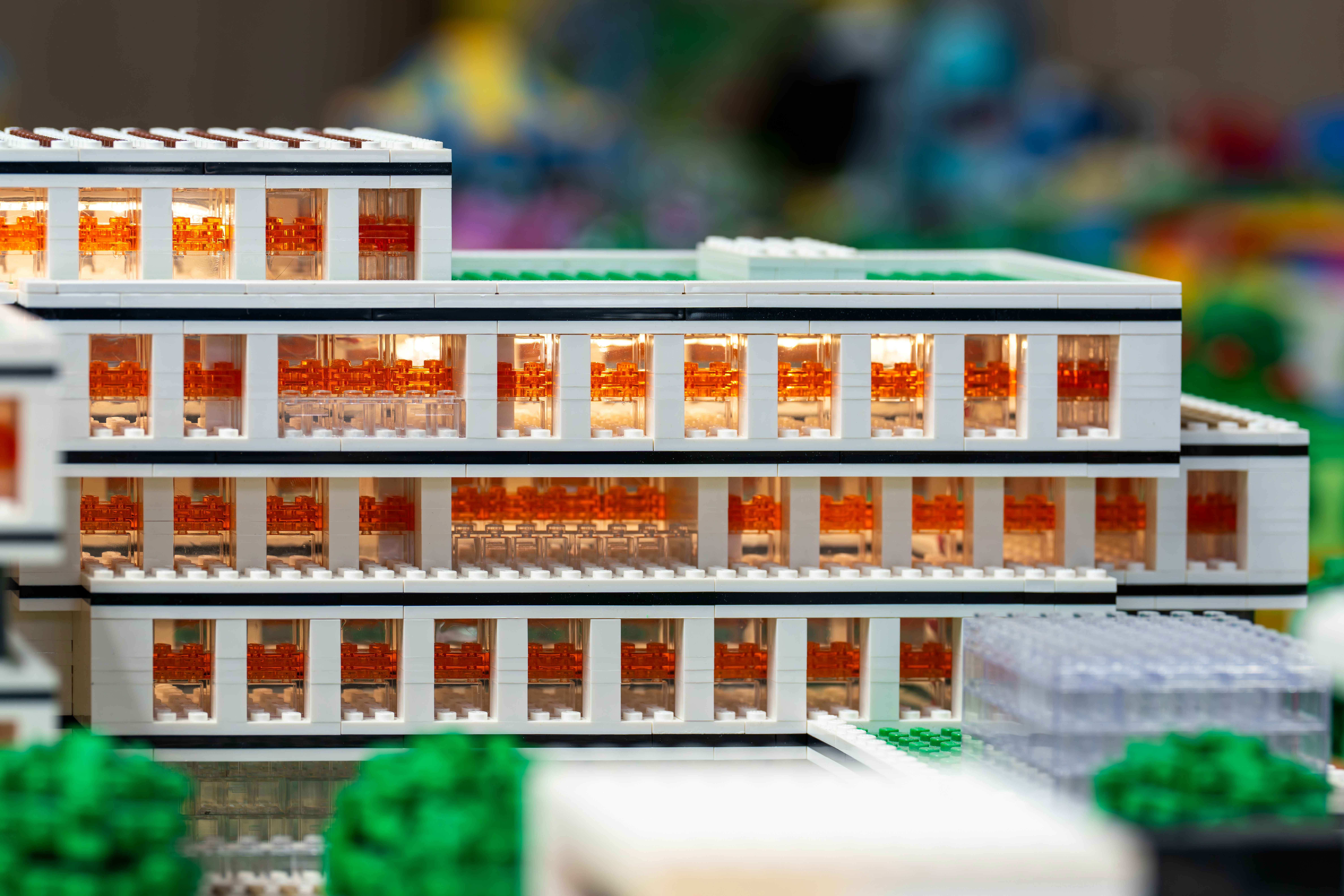 Photo by Declan Sun with Sony Alpha 7R V