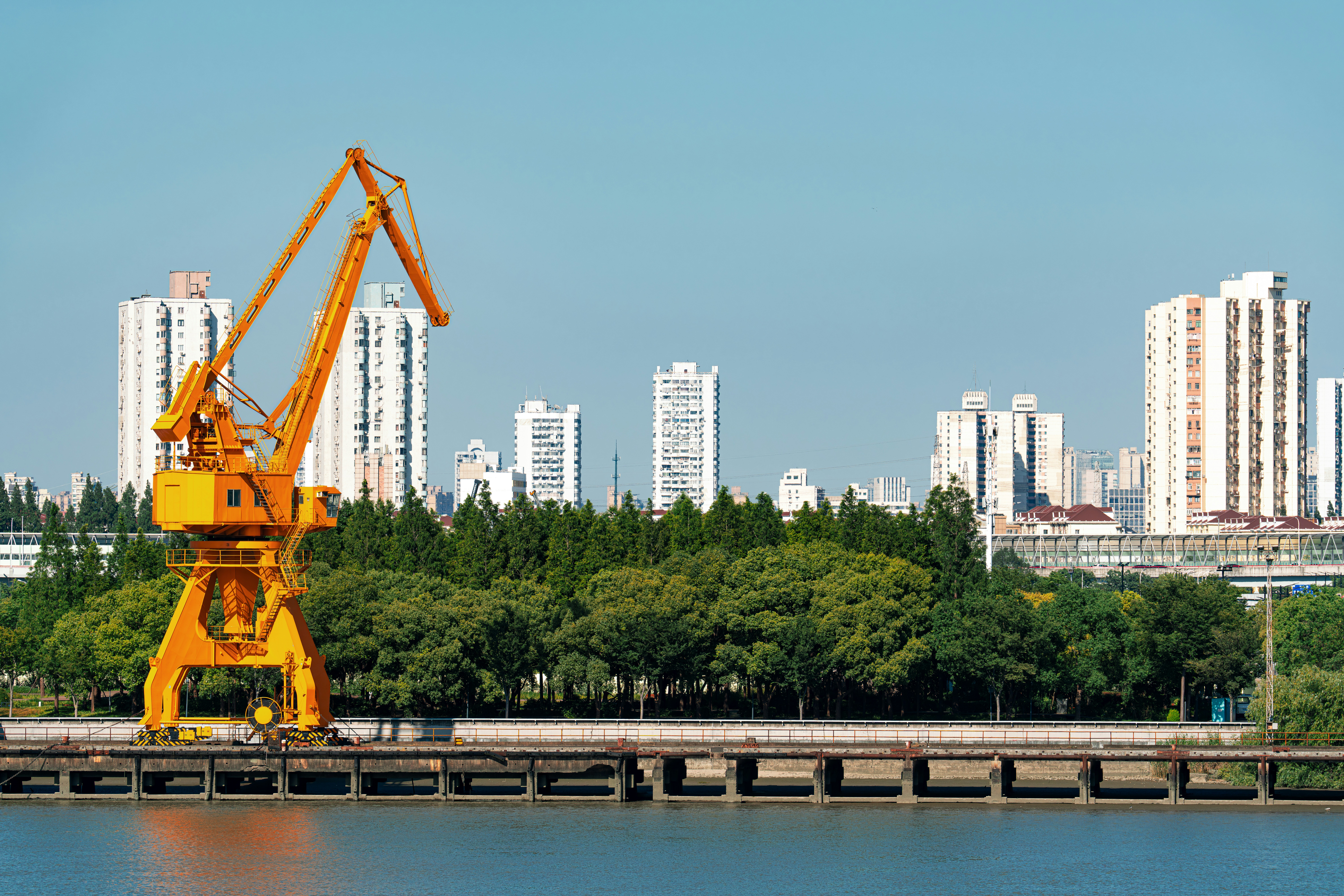 A bright yellow crane stands by the water's edge, framed by lush greenery and a backdrop of modern high-rise buildings.