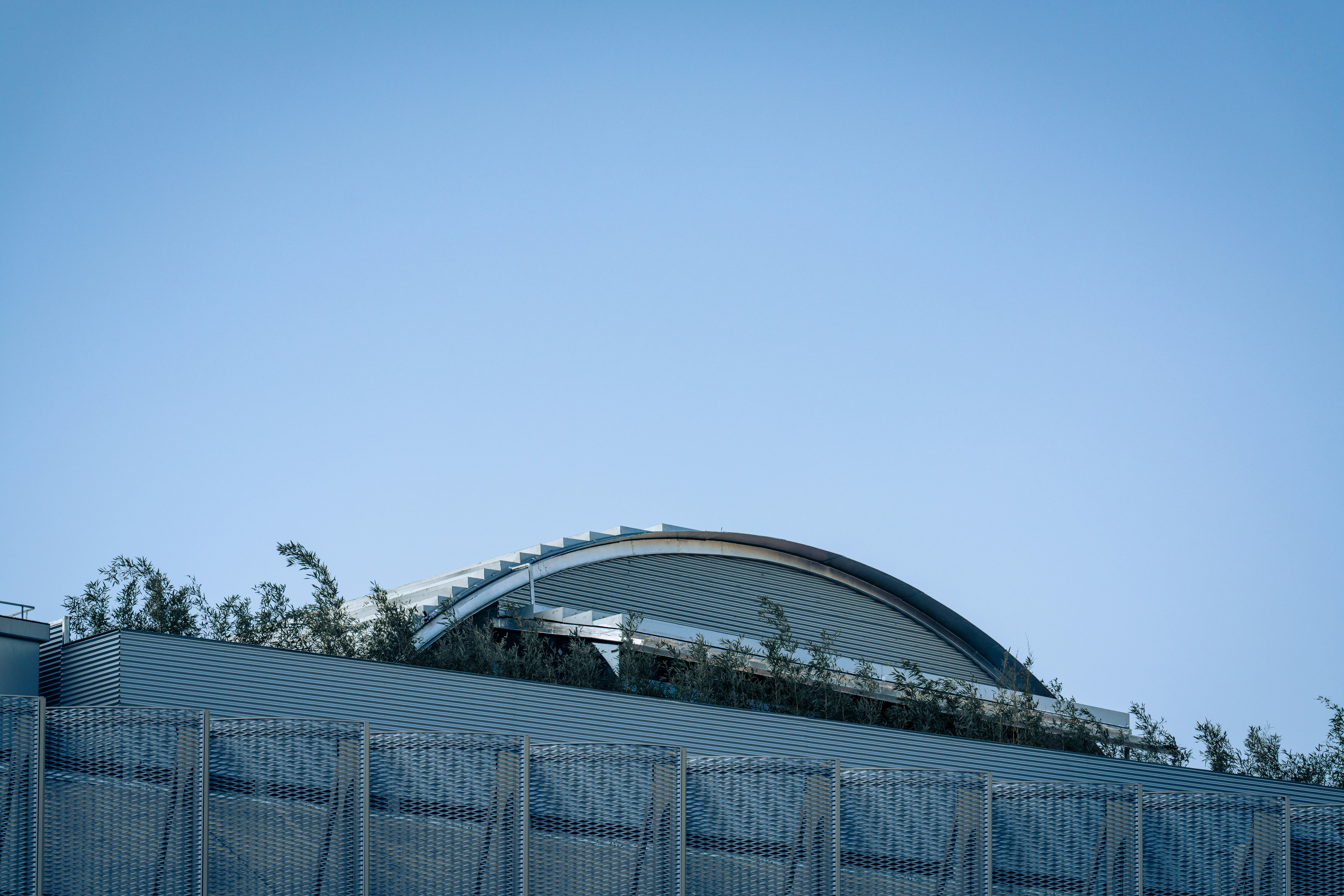 Arc of Metal Above the Fence: A Quiet Rooftop Moment