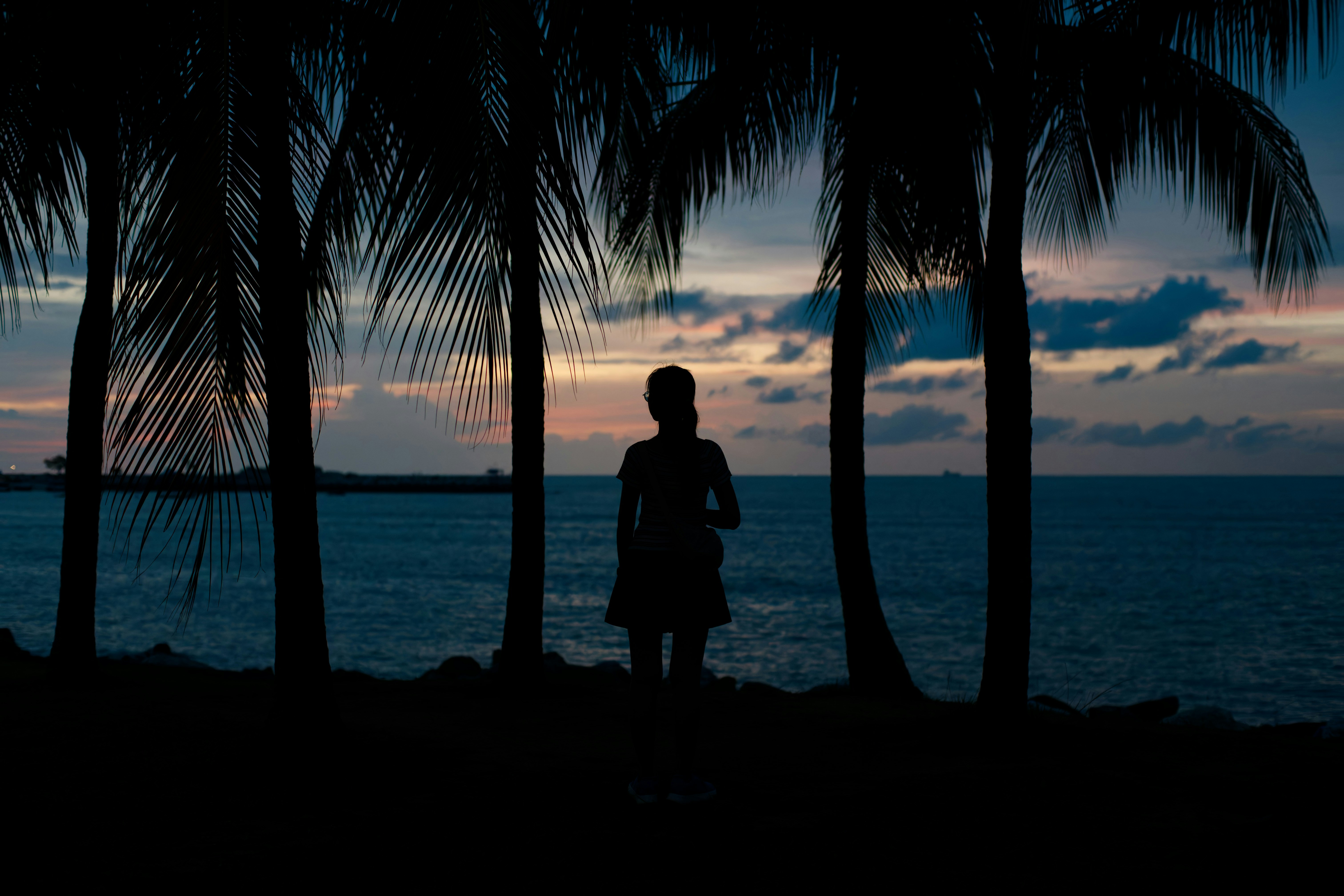 Silhouette Serenity at Dusk