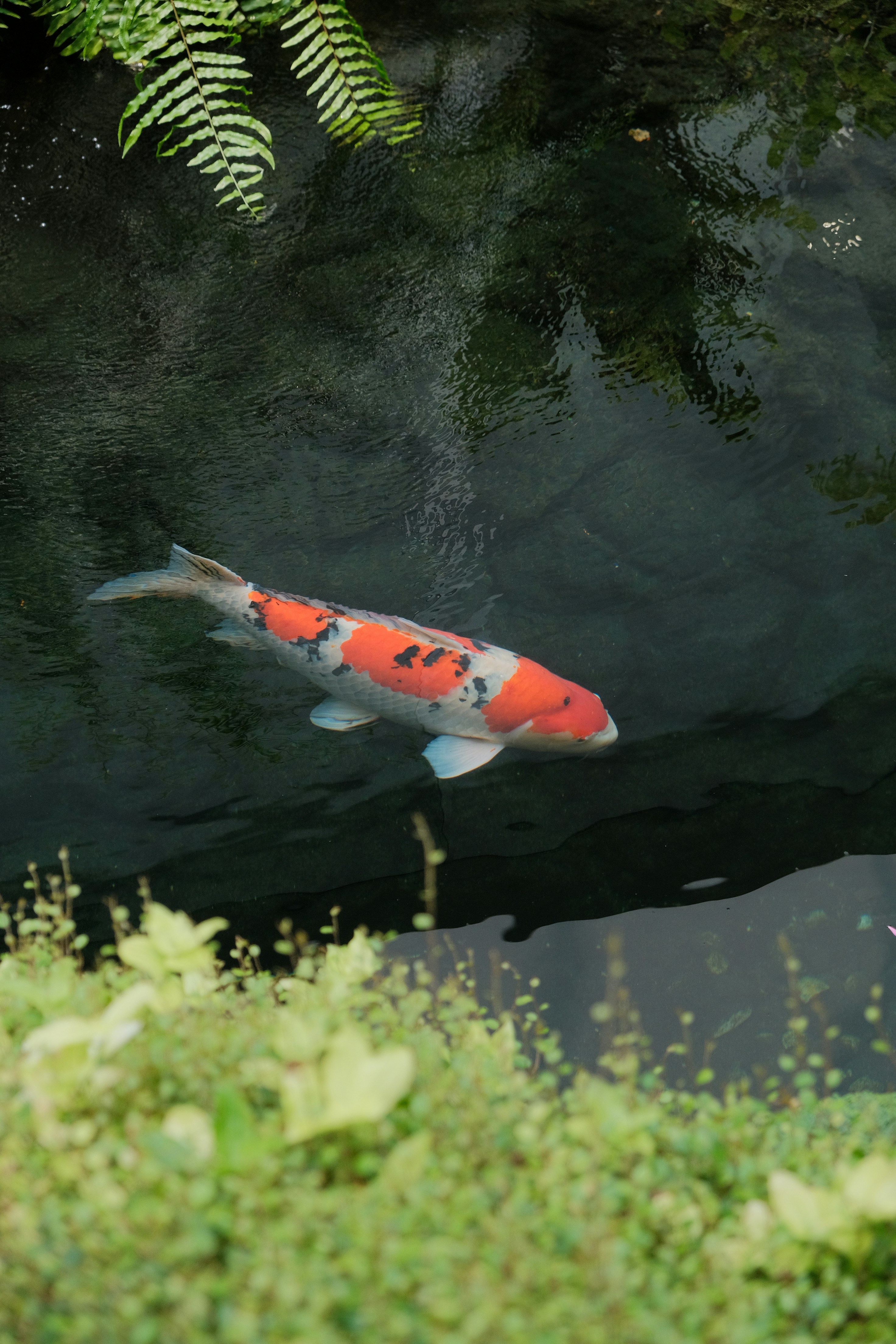 Photo by kian zhang with Fujifilm X-T3