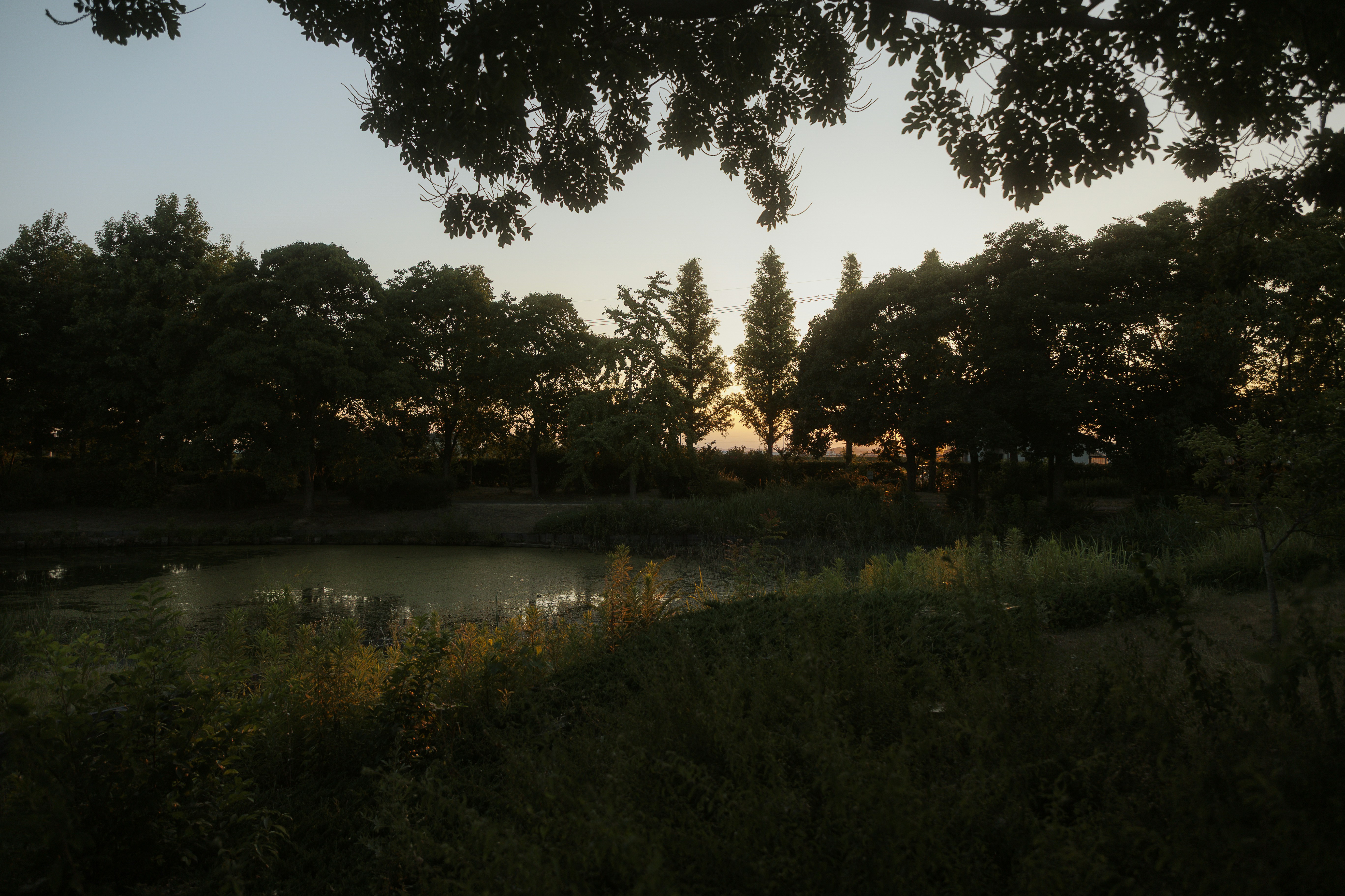 Dusk falls over a still lake surrounded by trees.