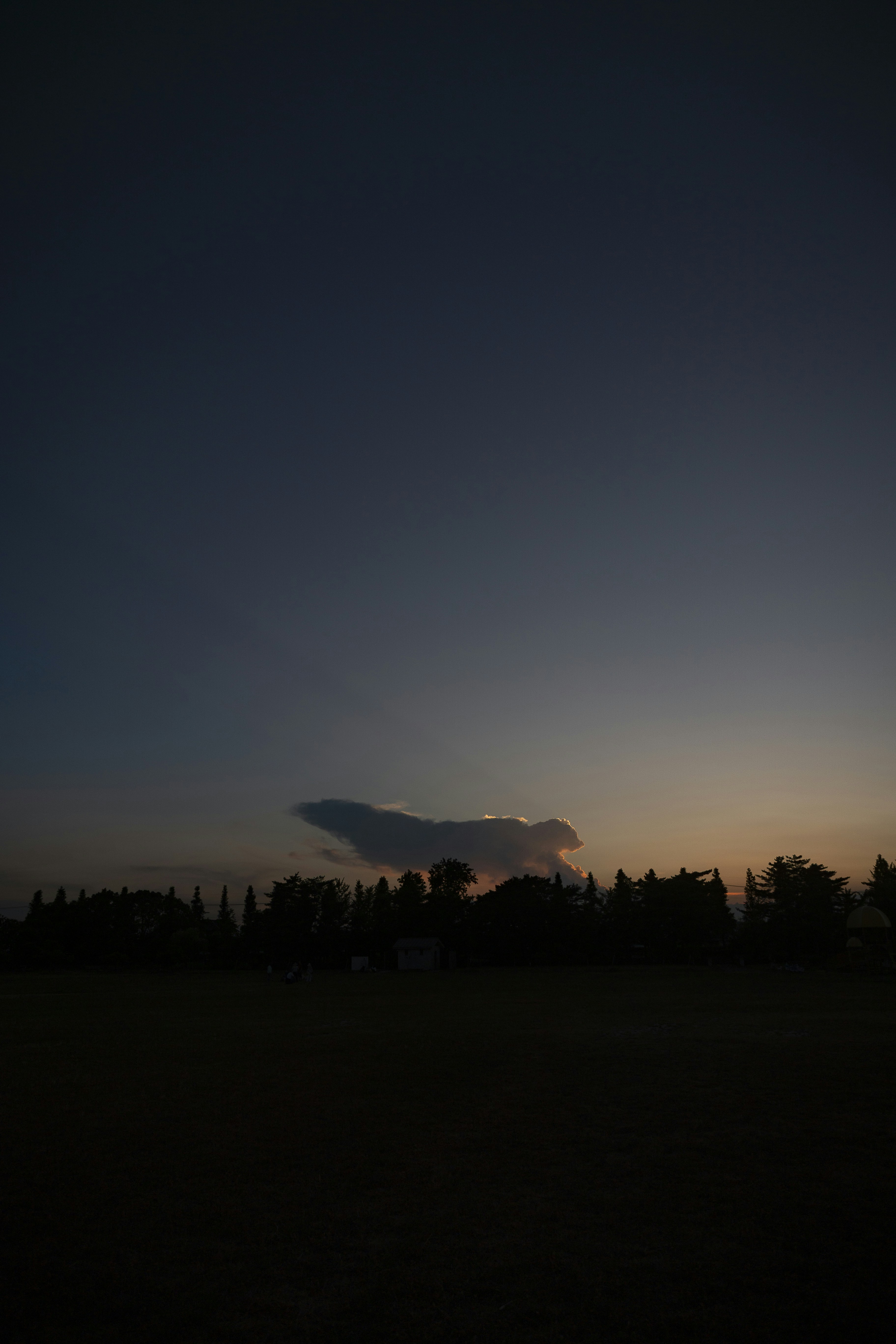 Silhouette of trees under a colorful sunset.