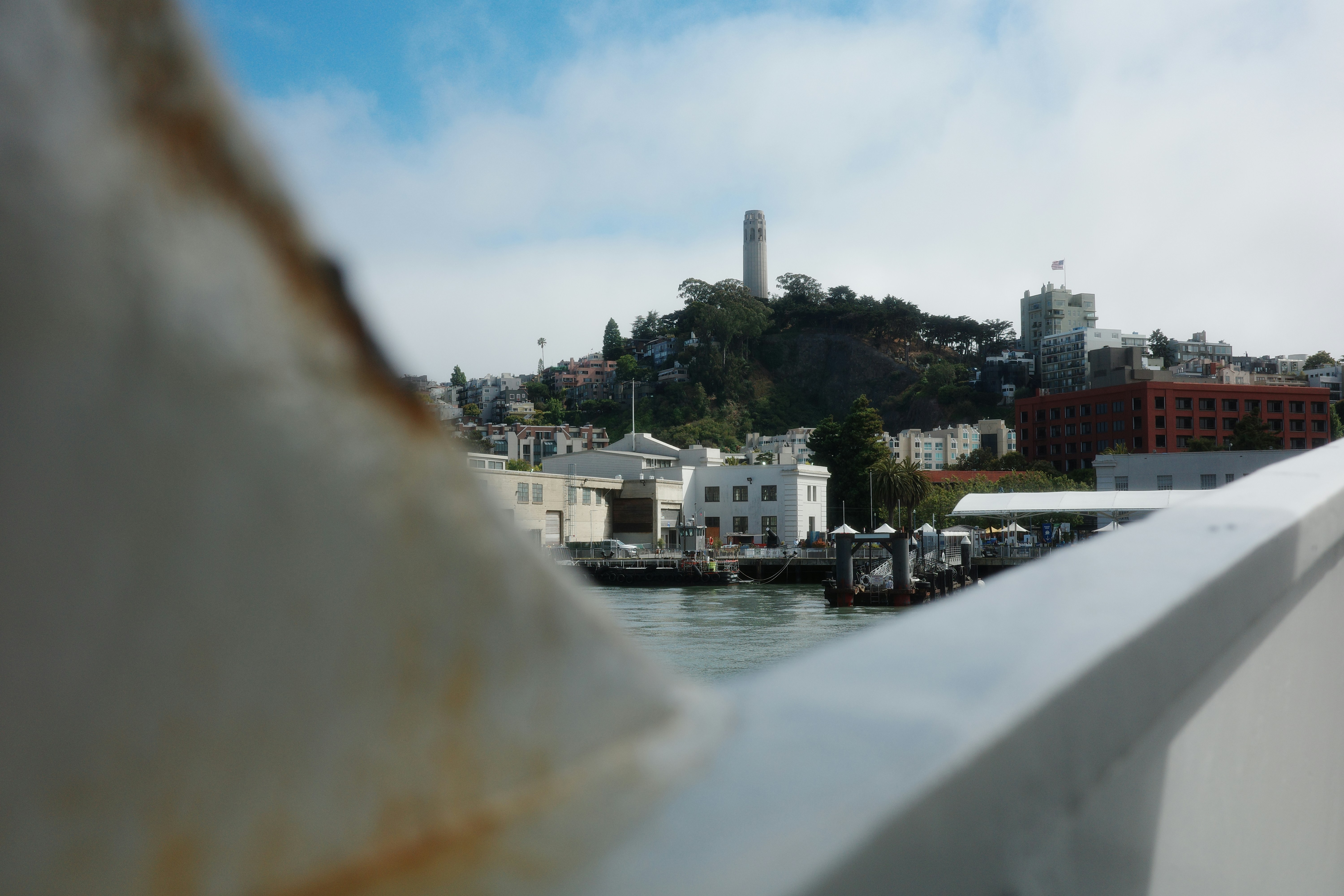 Urban Serenity: A Glimpse of Coit Tower