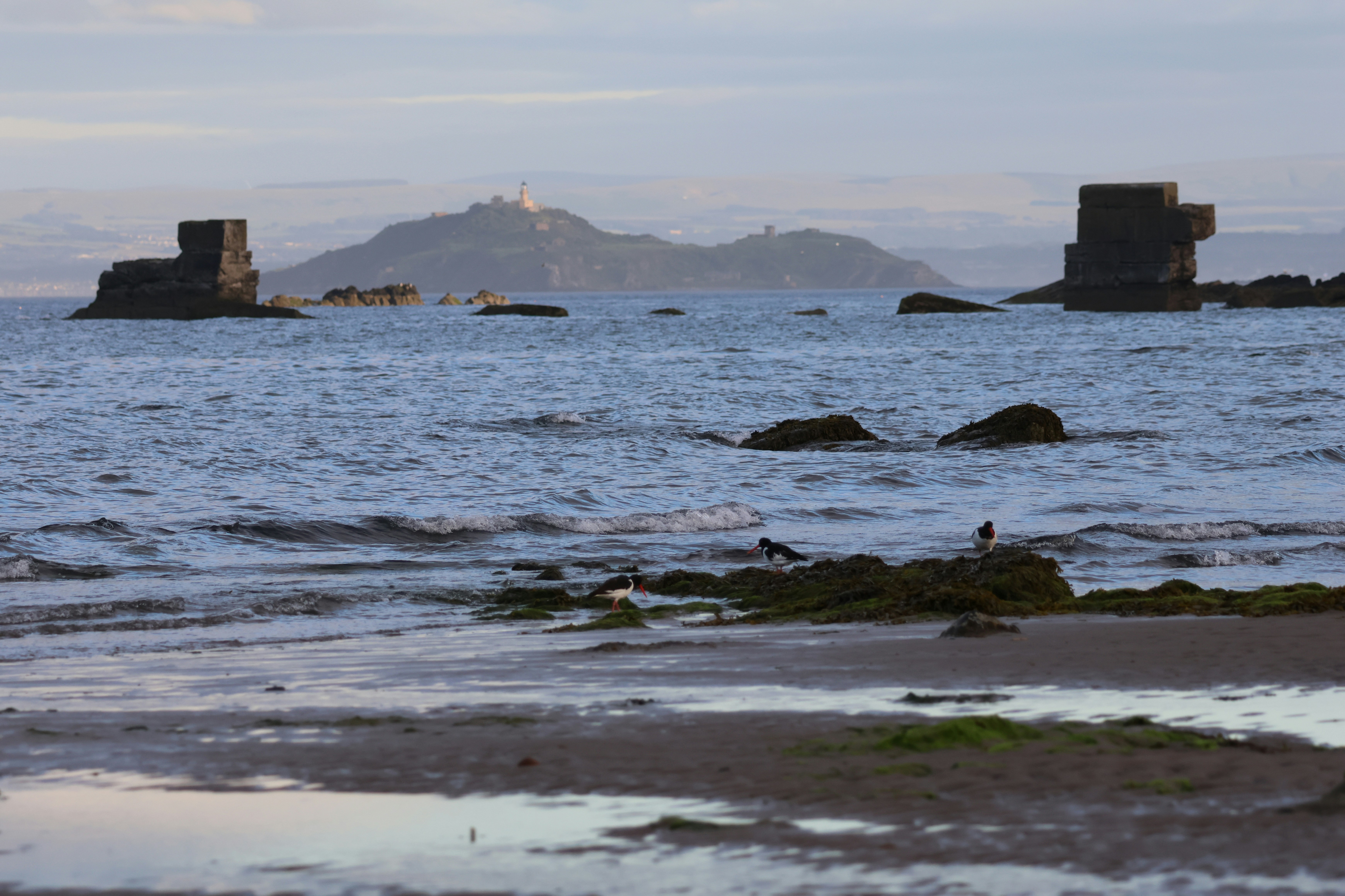 Whispers of the Tide: Echoes of Time and Nature