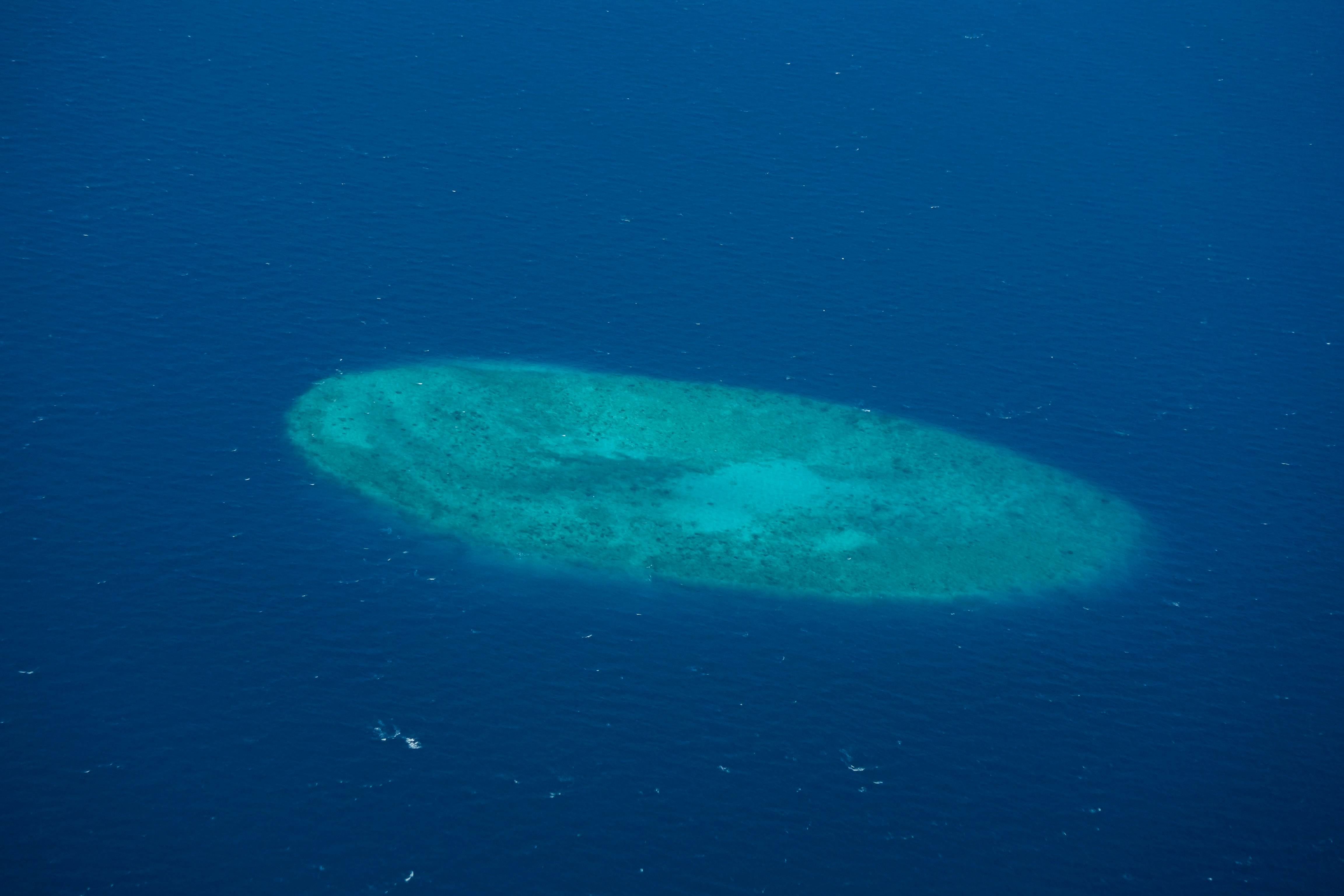 Aerial view of a submerged coral reef, showcasing vibrant turquoise waters surrounding an elliptical patch of marine life. The contrast between the reef and deep blue ocean creates a striking visual.
