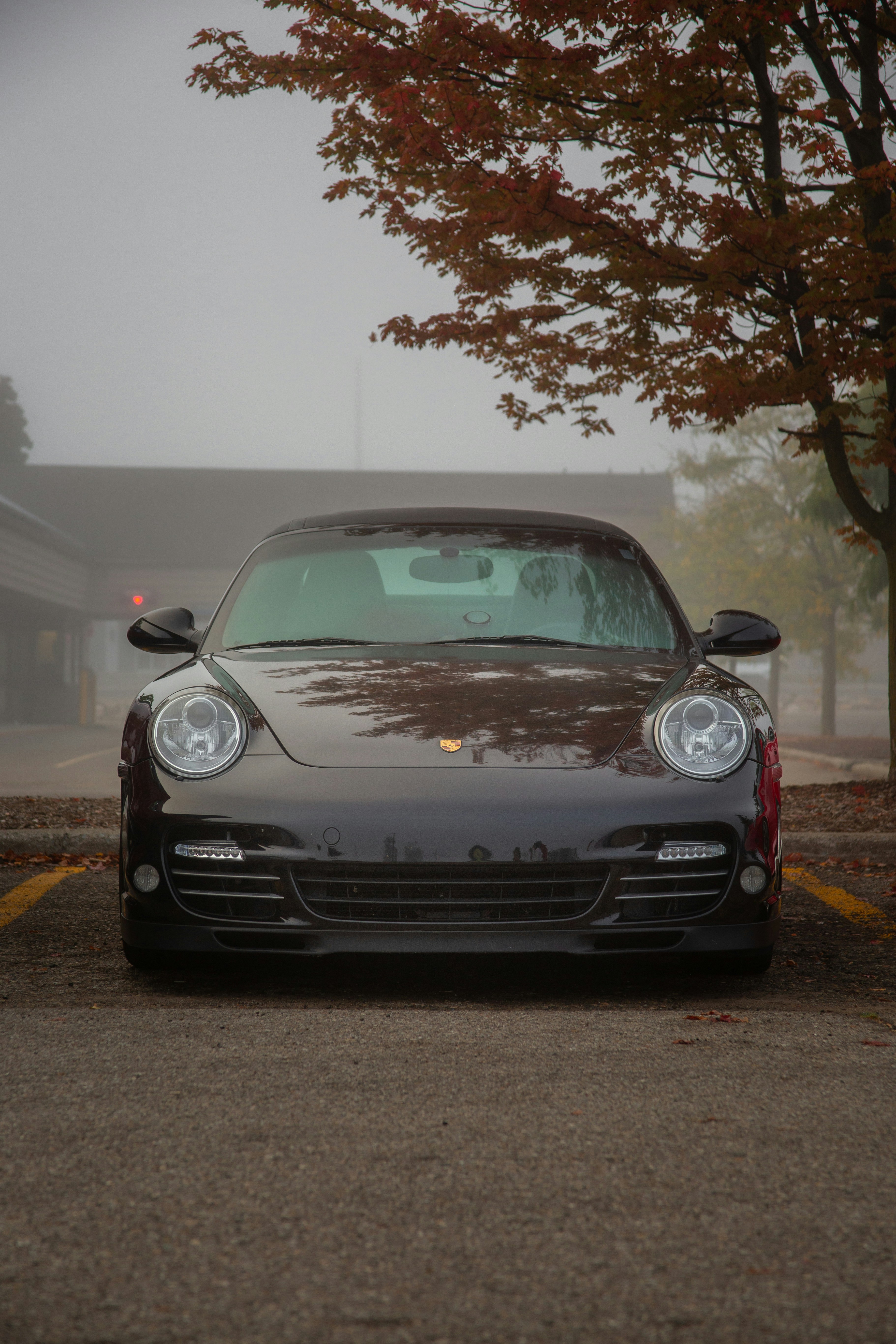 Elegance in the Mist: A Porsche's Quiet Presence