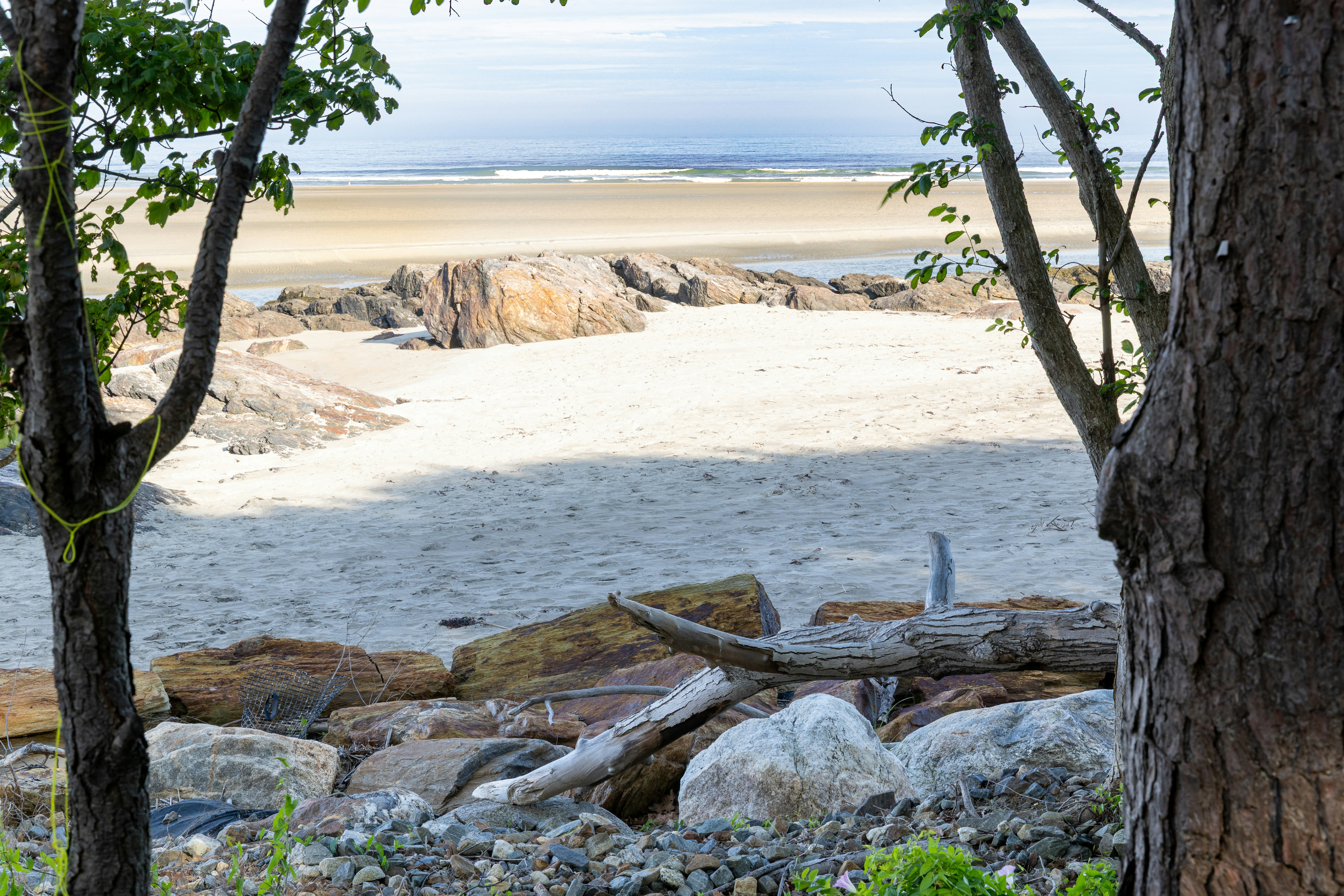 Serenity by the Shoreline: A Natural Framing