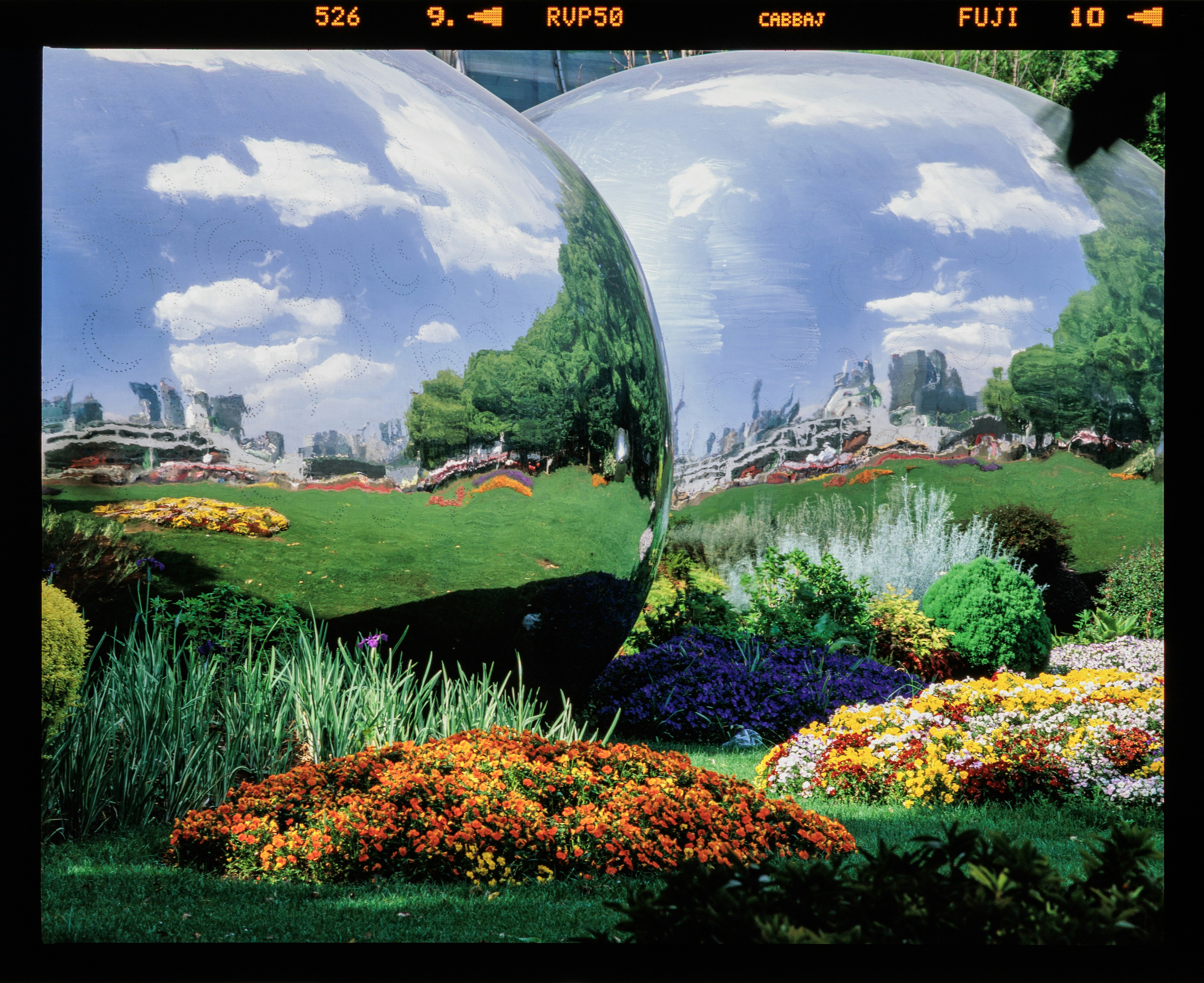 🎞️ Fujichrome Velvia 50 [RVP 50]｜🧪 Kodak E-6 (Single-use kit)｜🖨️ EOS R6 + RF 100mm f/2.8L Macro｜📷 Pentax 67 + SMC Pentax 67 300mm 1:4