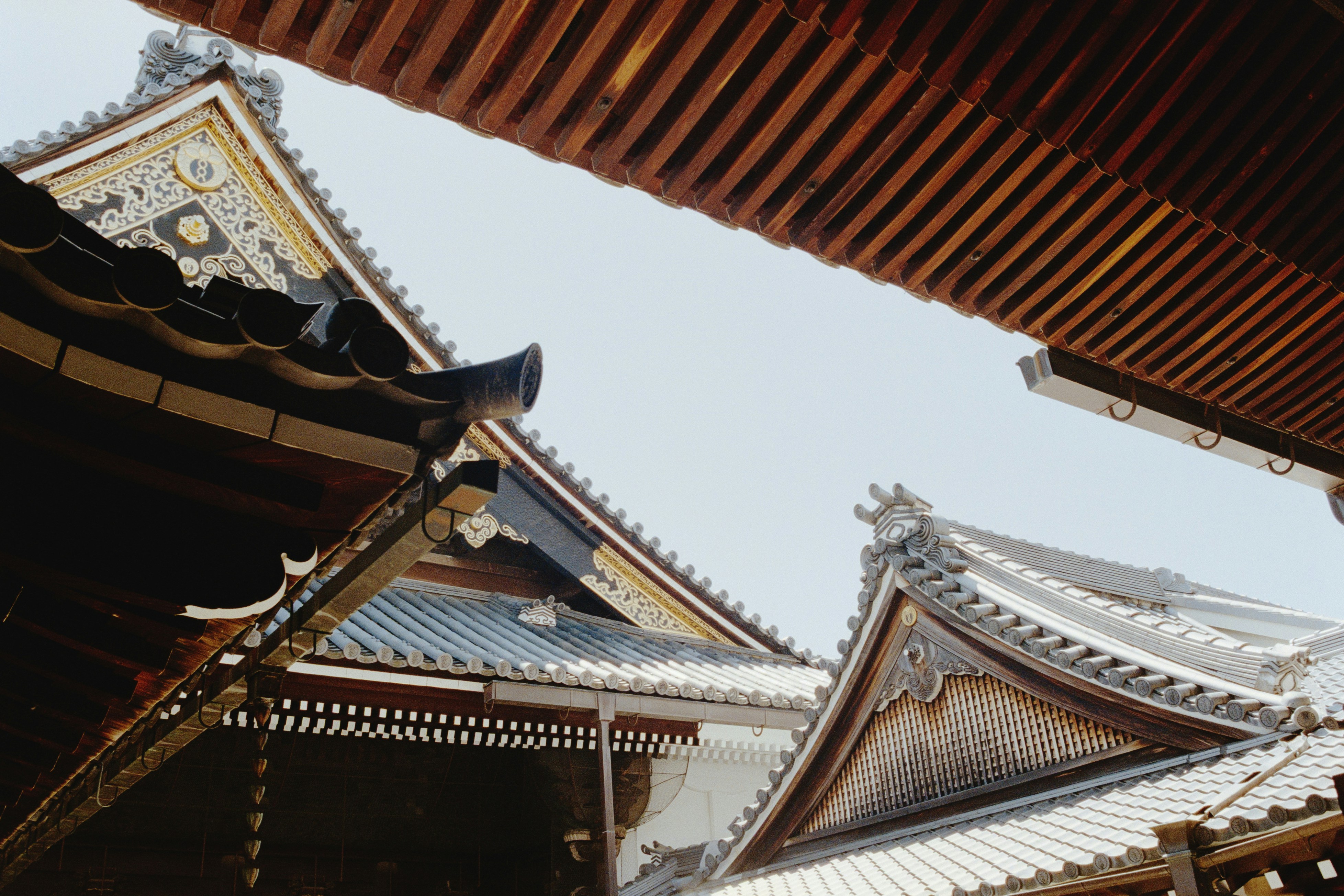 🎞️ Alien Film CN400 ProMax｜🧪 Fuji Hunt C-41｜🖨️ EOS R6 + RF 100mm f/2.8L Macro｜📷 Canon New F-1 + FD 35mm 1:2 S.S.C. | Rooftops of a japanese temple are pictured.