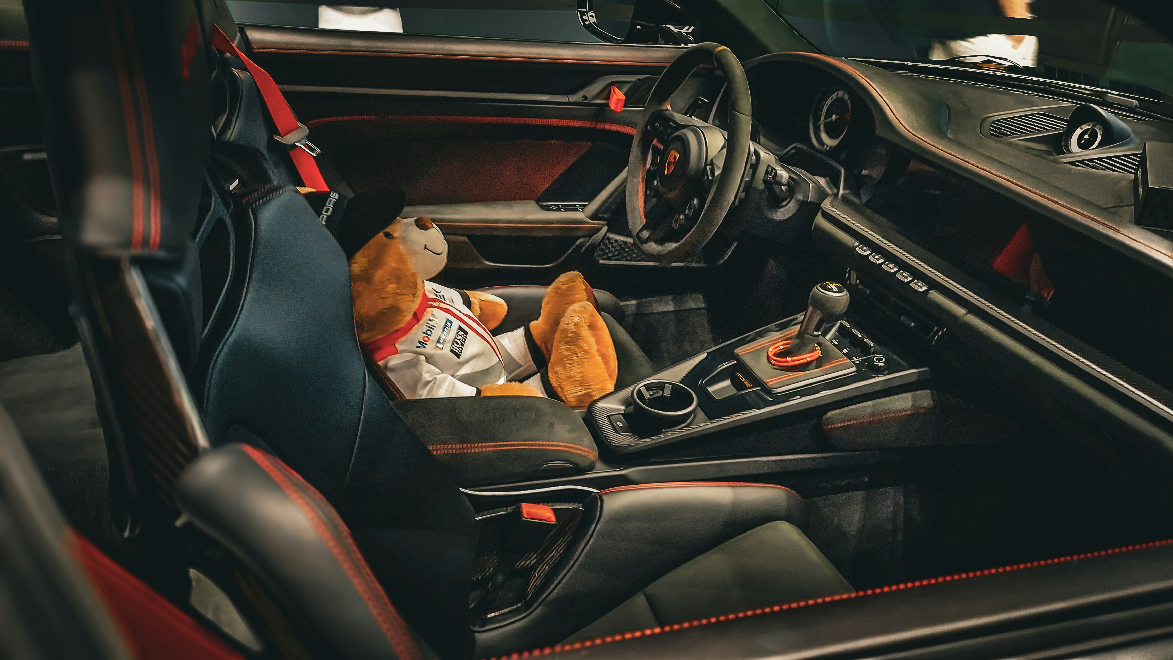Whimsical Companions in a Luxury Ride
