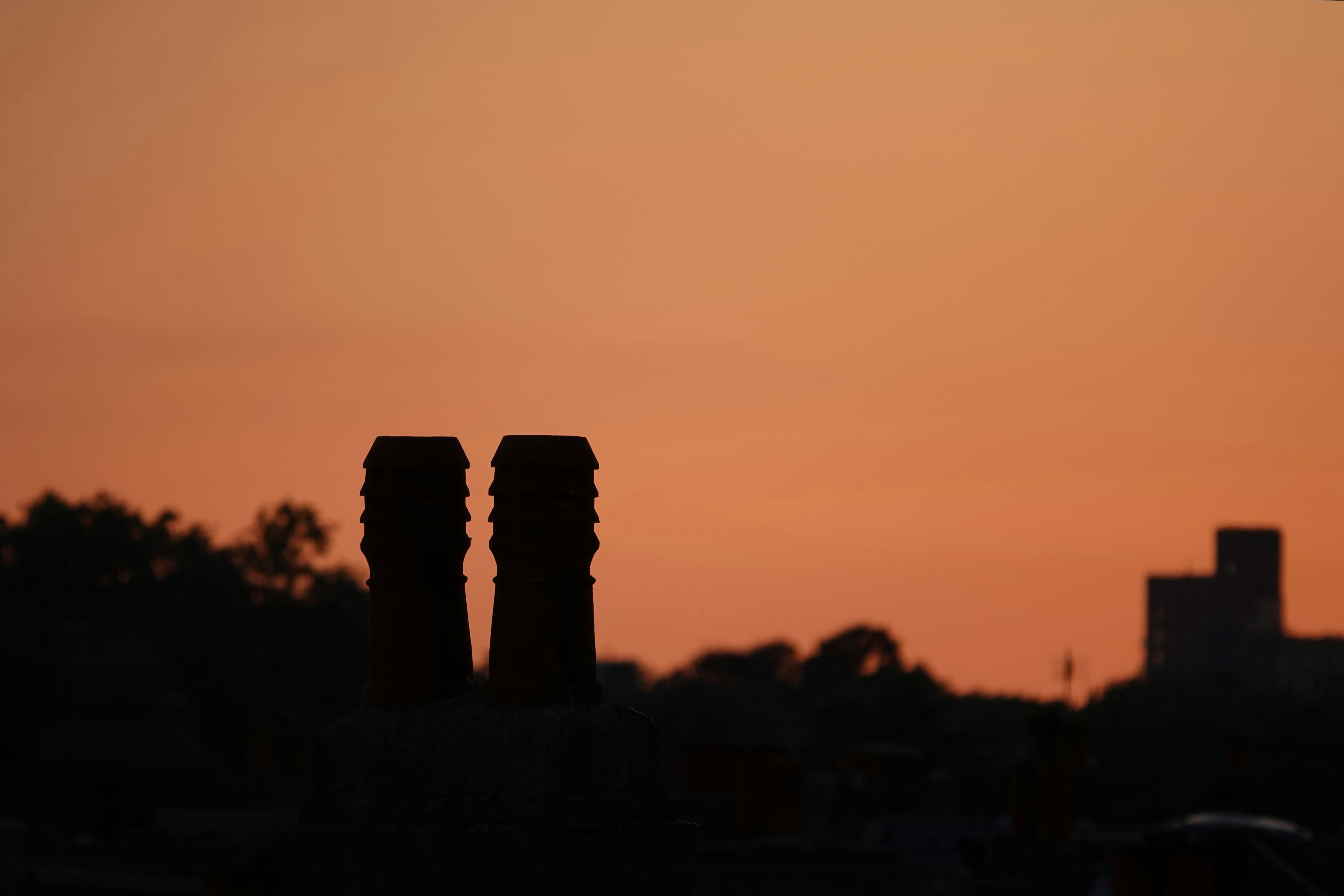 Silhouettes Against the Dusk