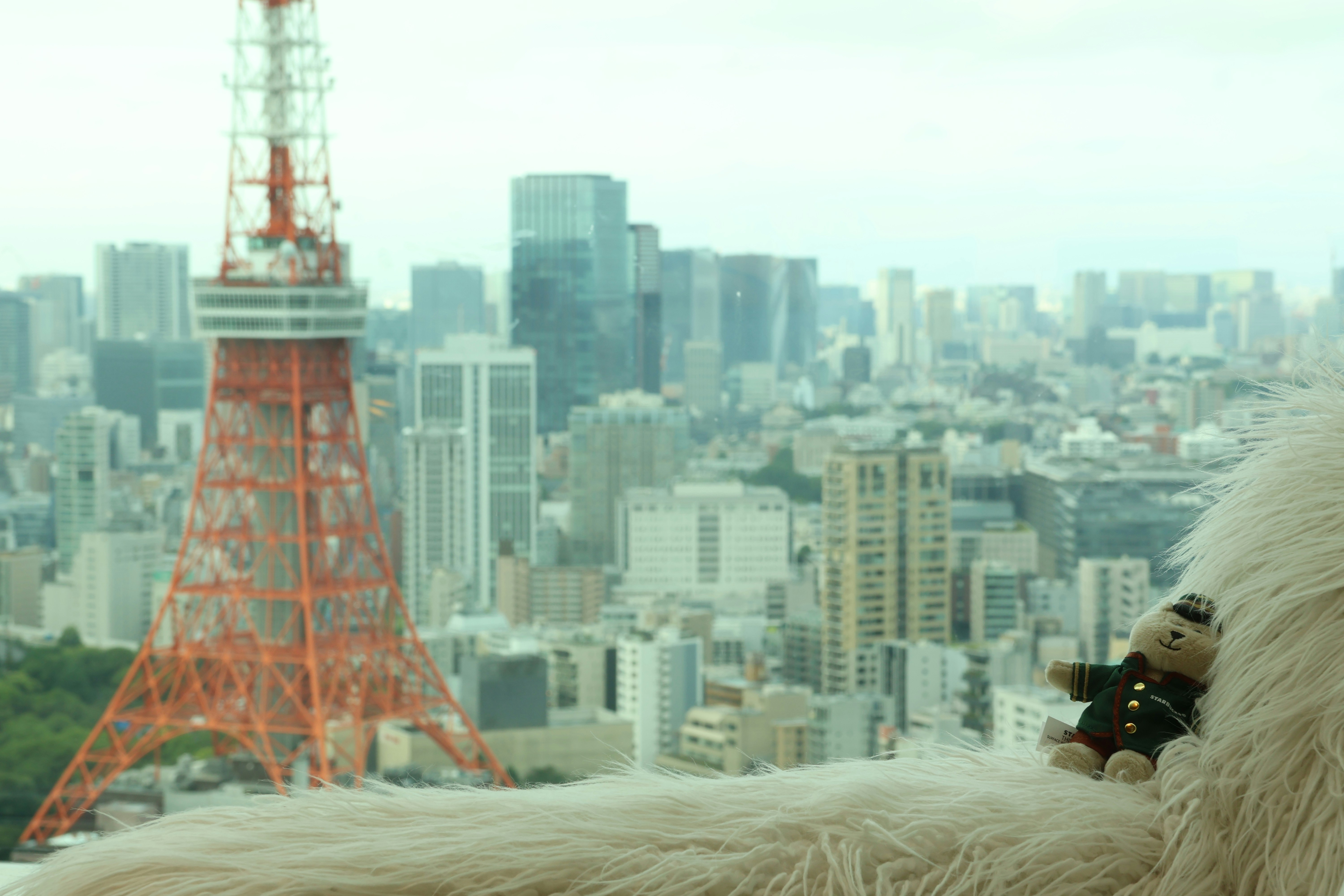 Teddy bear and city view with tokyo tower.