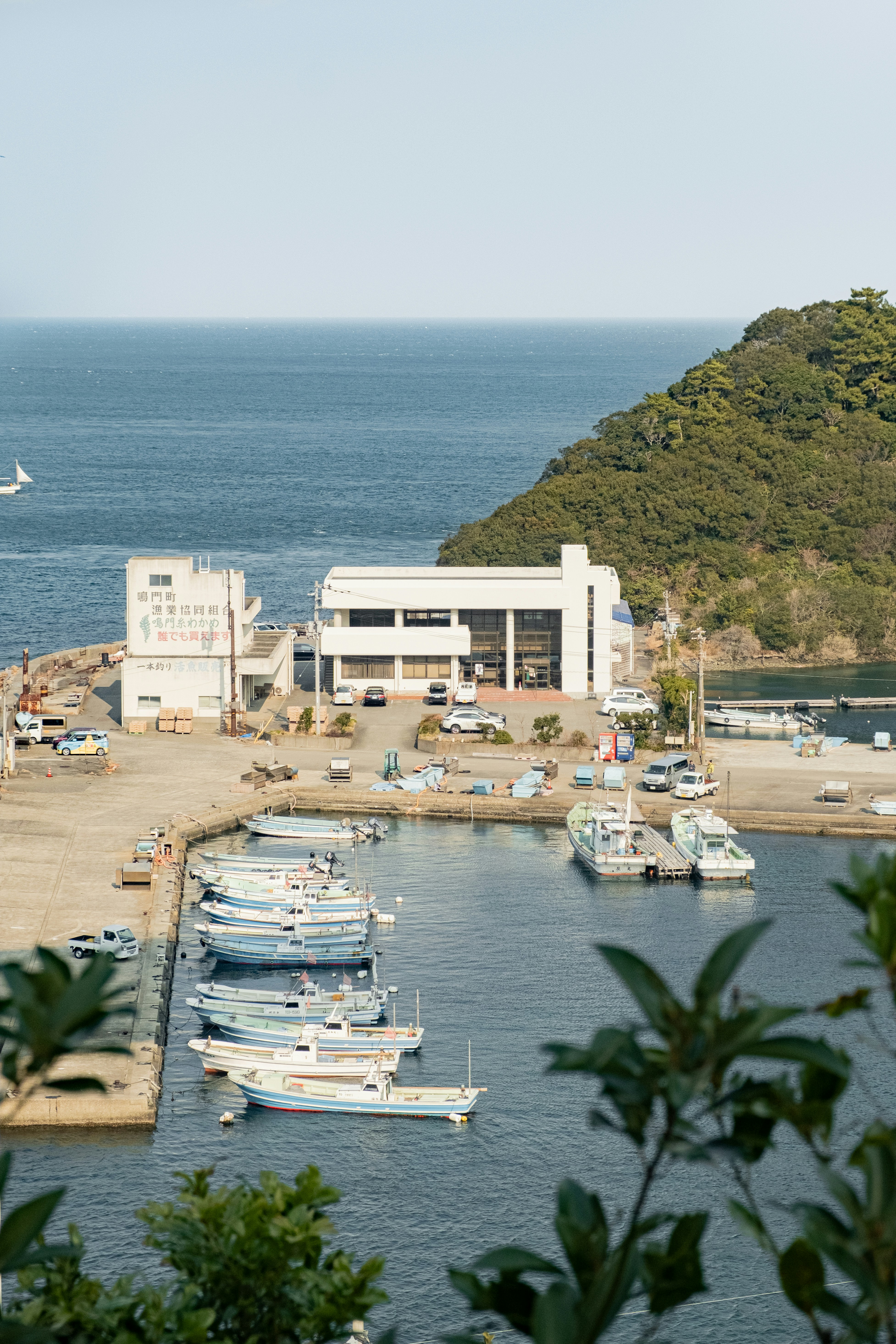 Harbor Serenity: A Glimpse of Coastal Life