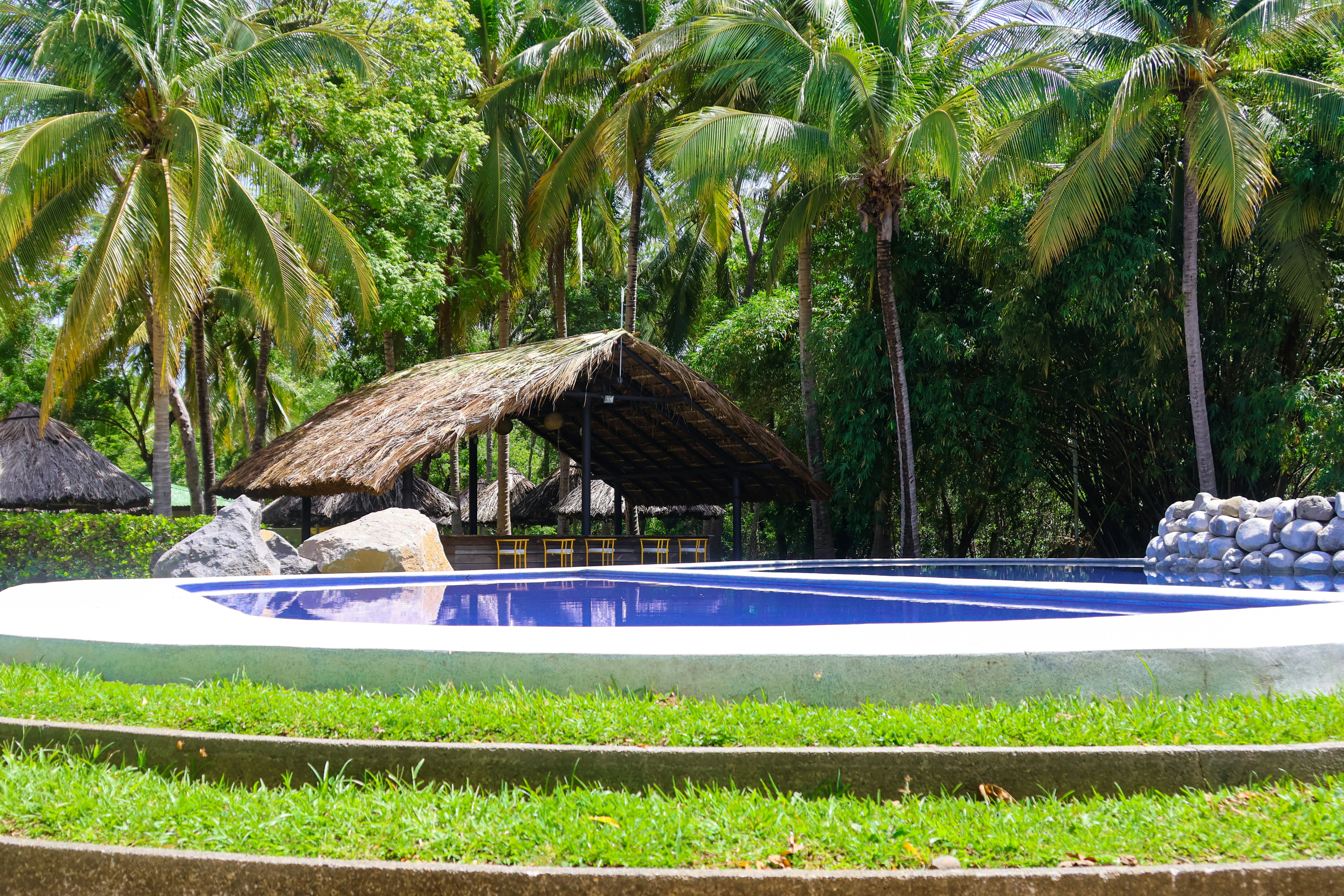 A tropical pool is surrounded by lush palm trees.
