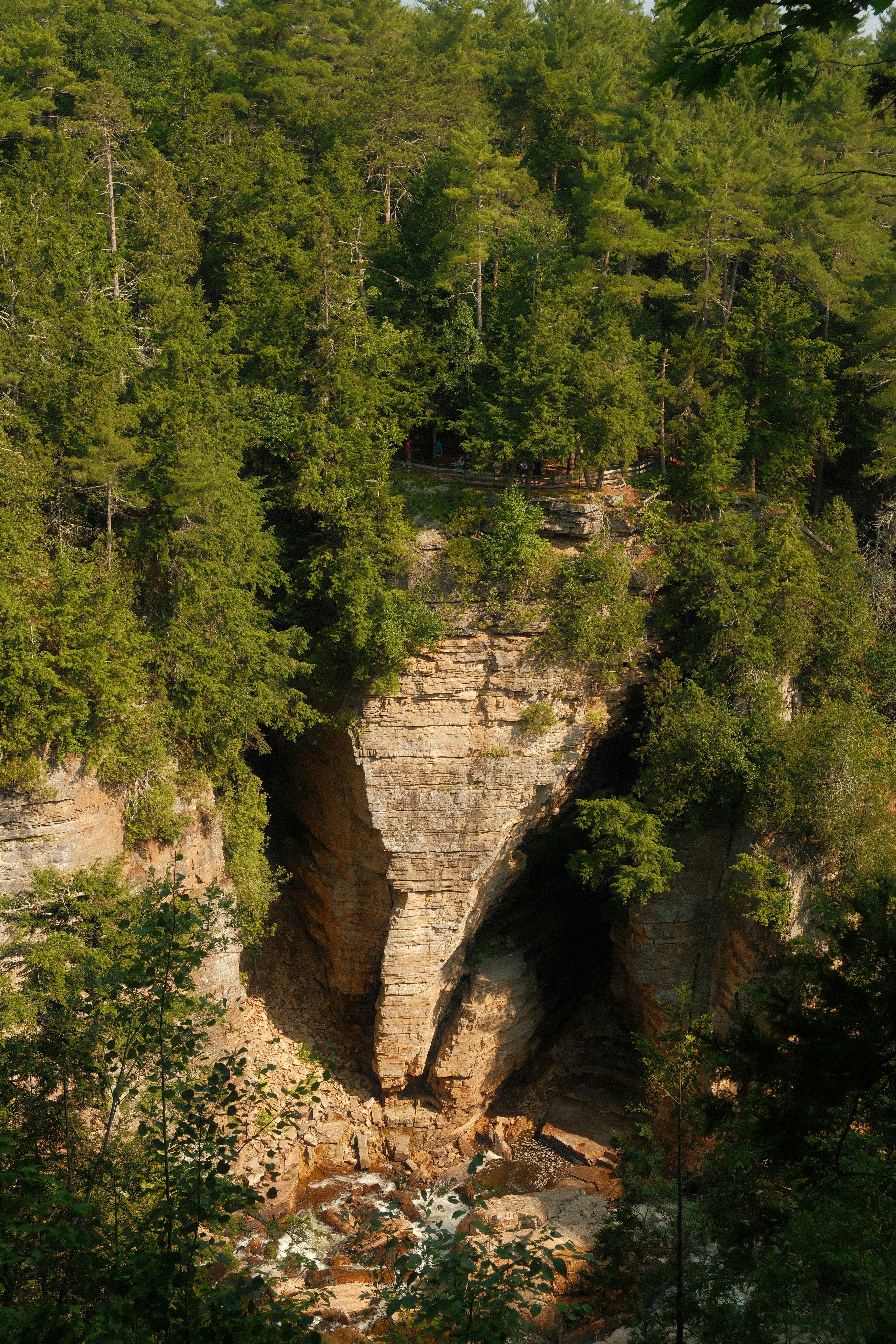 A deep gorge surrounded by green trees.
