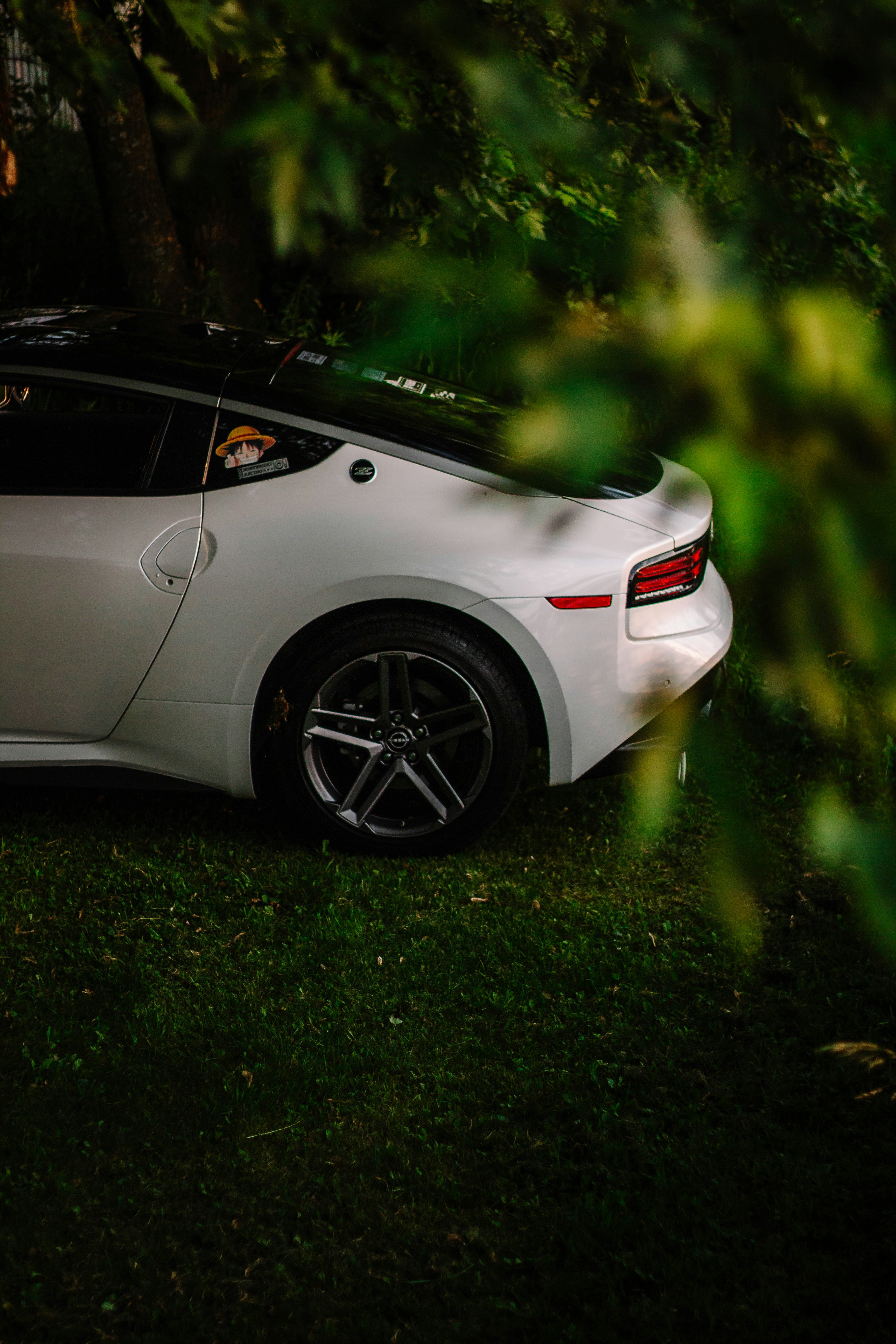 White coupe under leafy canopy: a quiet parkside reveal