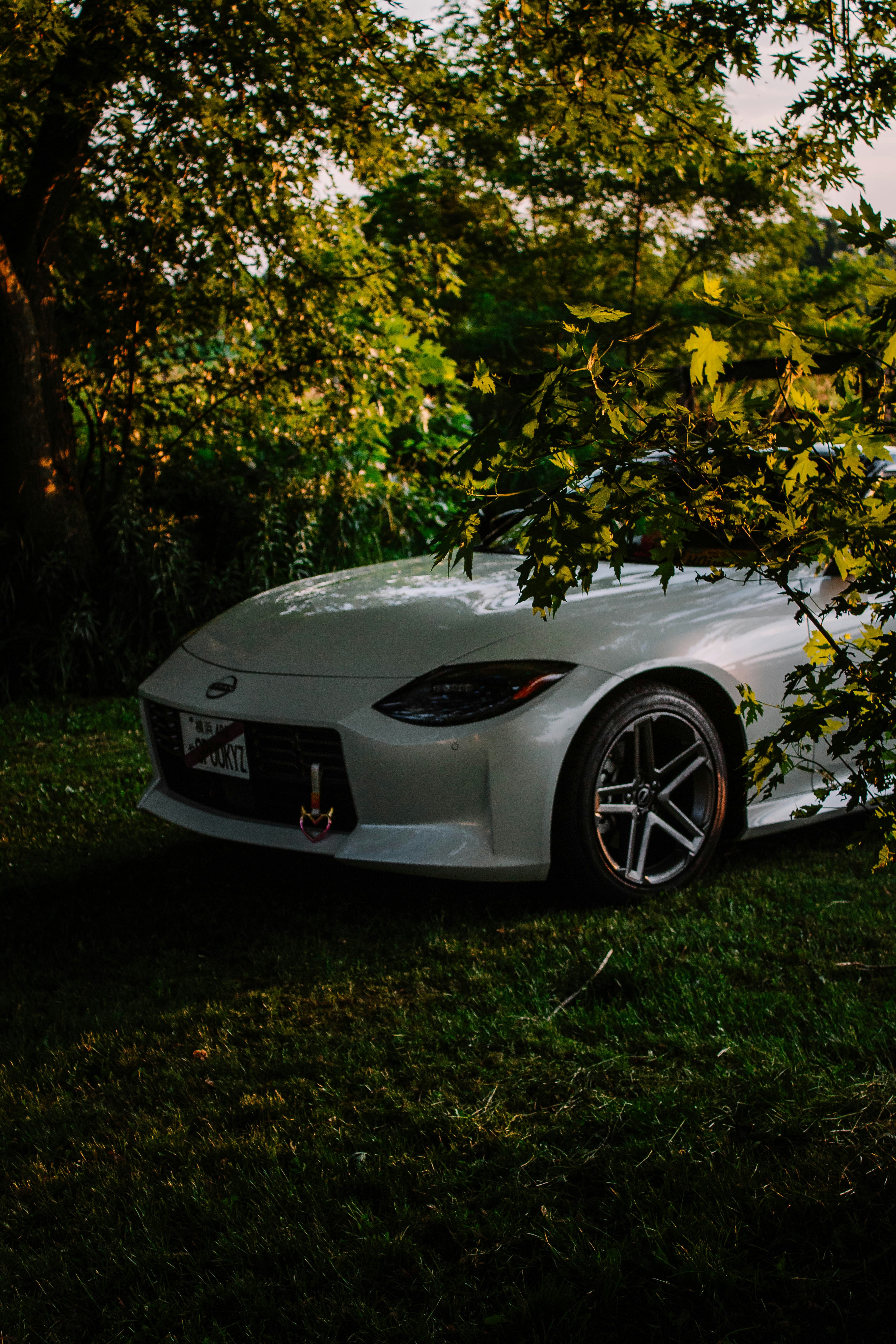 White sports car peeking from under leafy canopy at golden-hour park edge