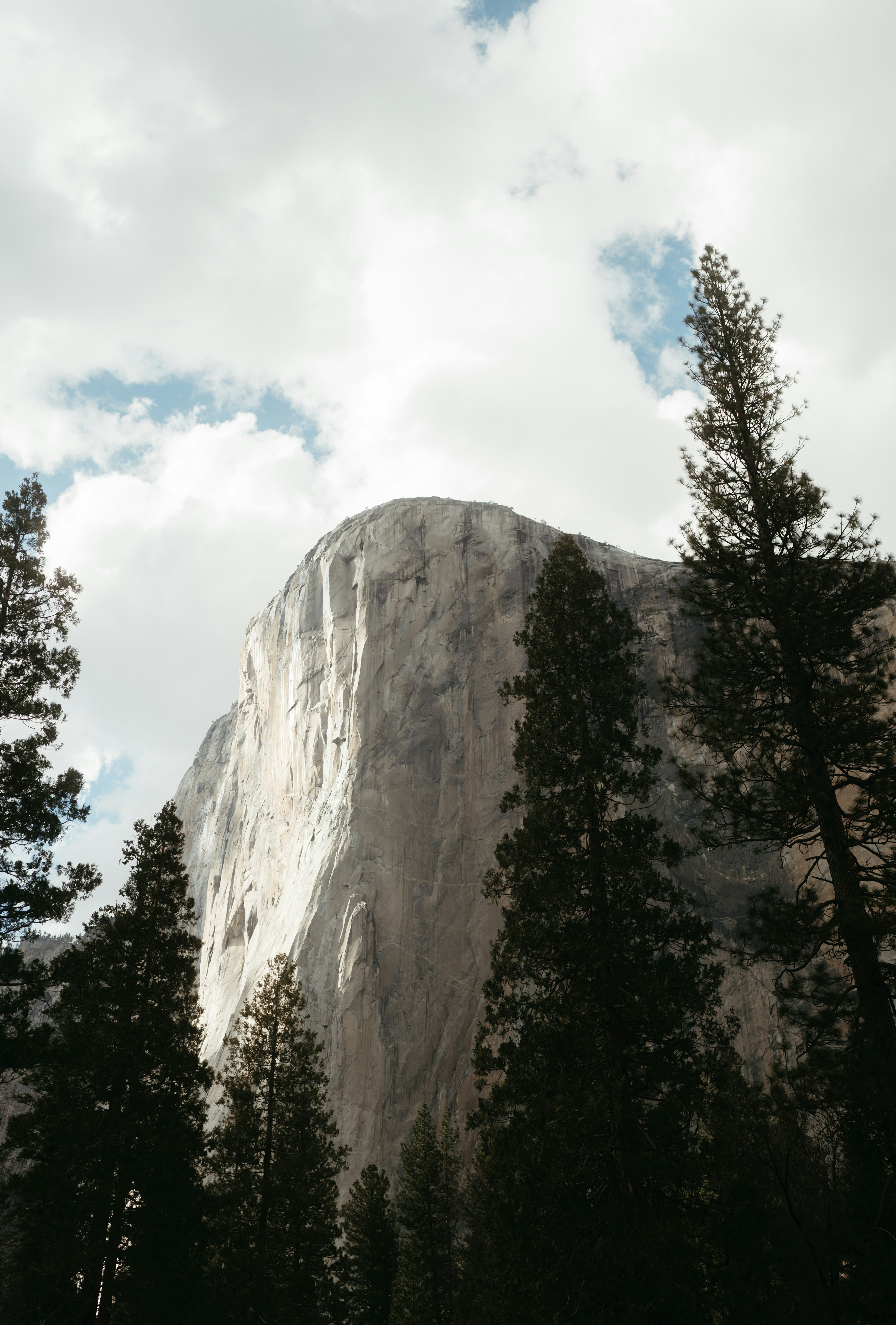 A massive mountain towers with towering trees.