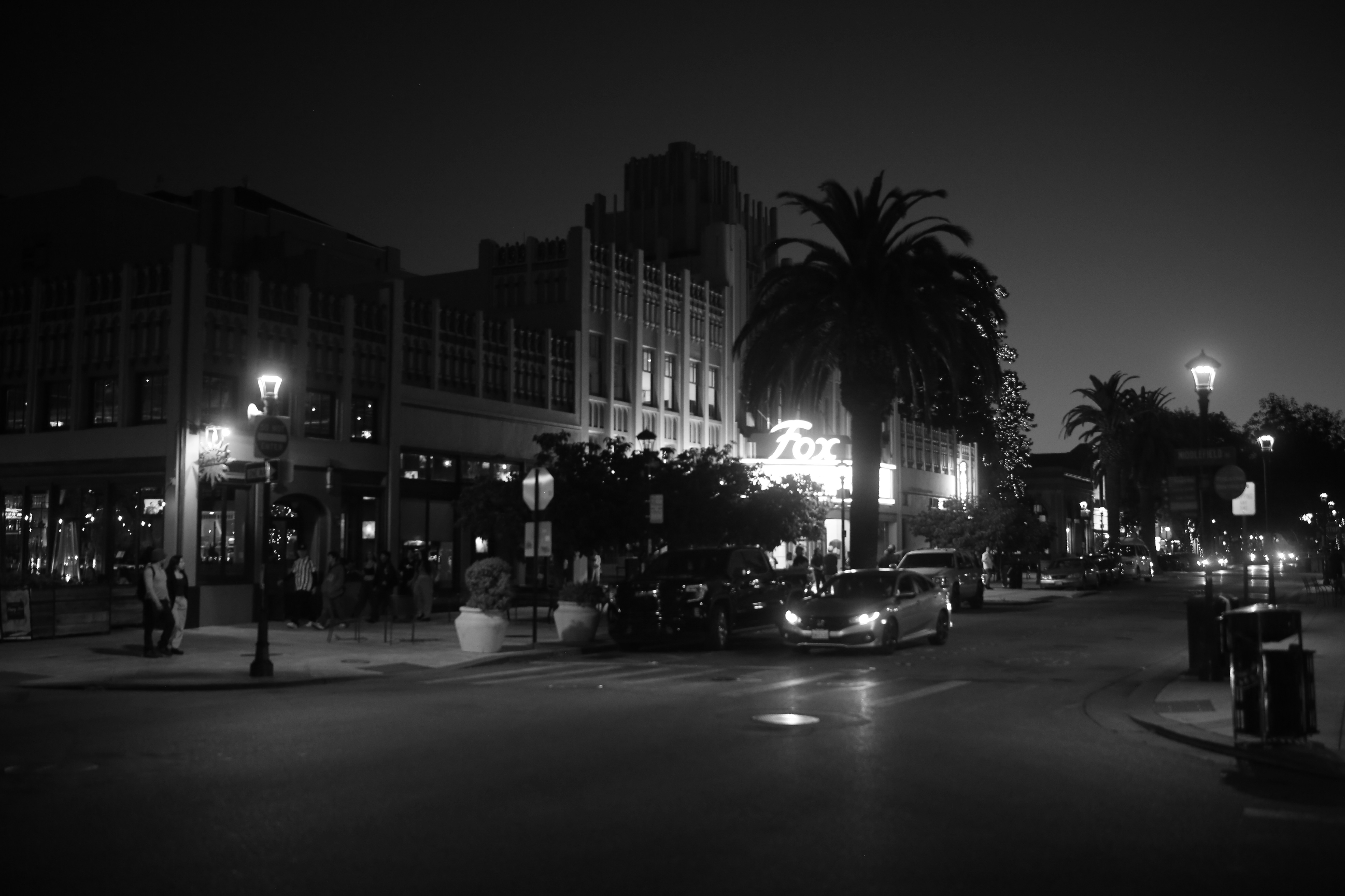Nocturnal Urban Symphony