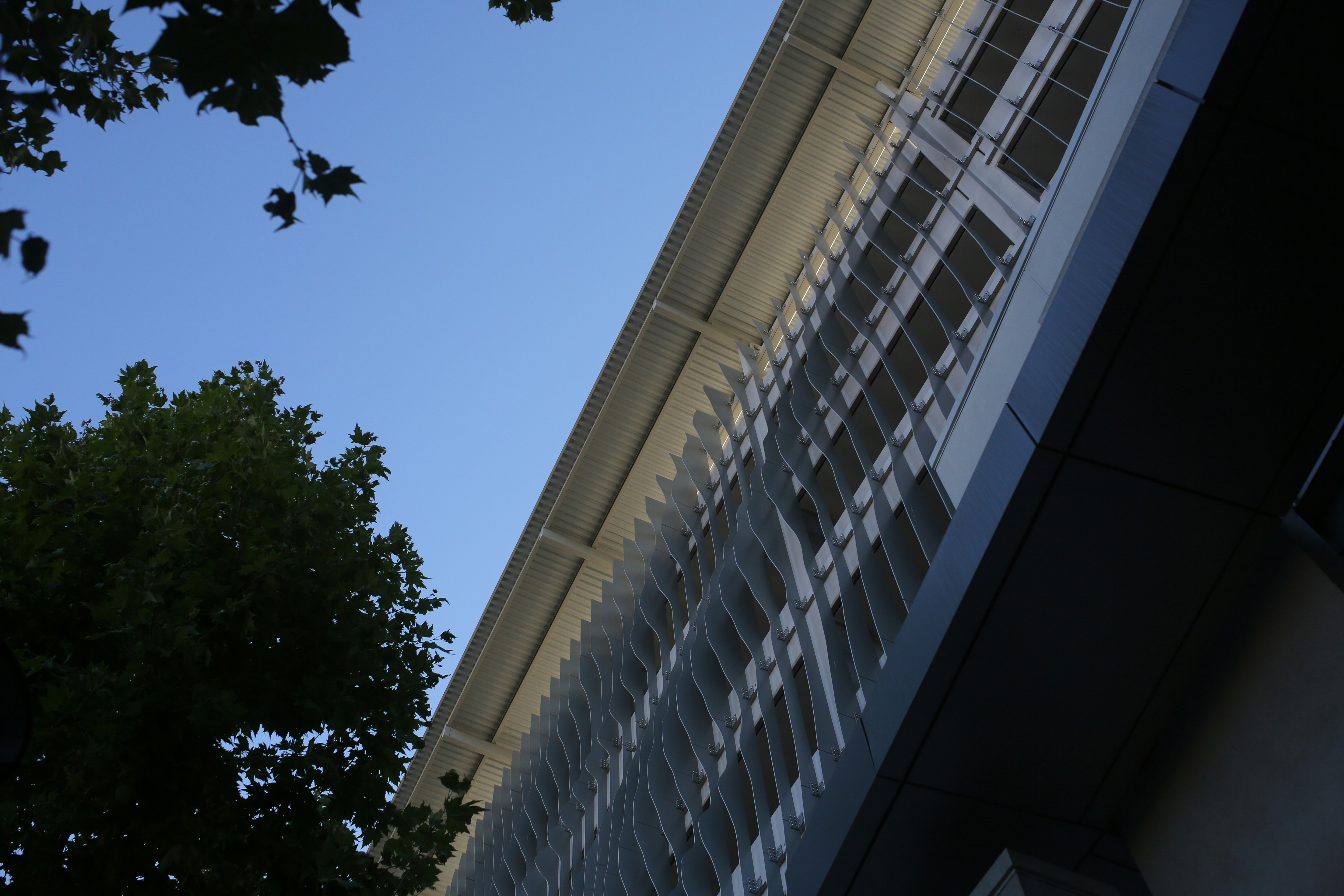 Modern building facade with intricate slats against a clear blue sky, framed by lush green foliage.