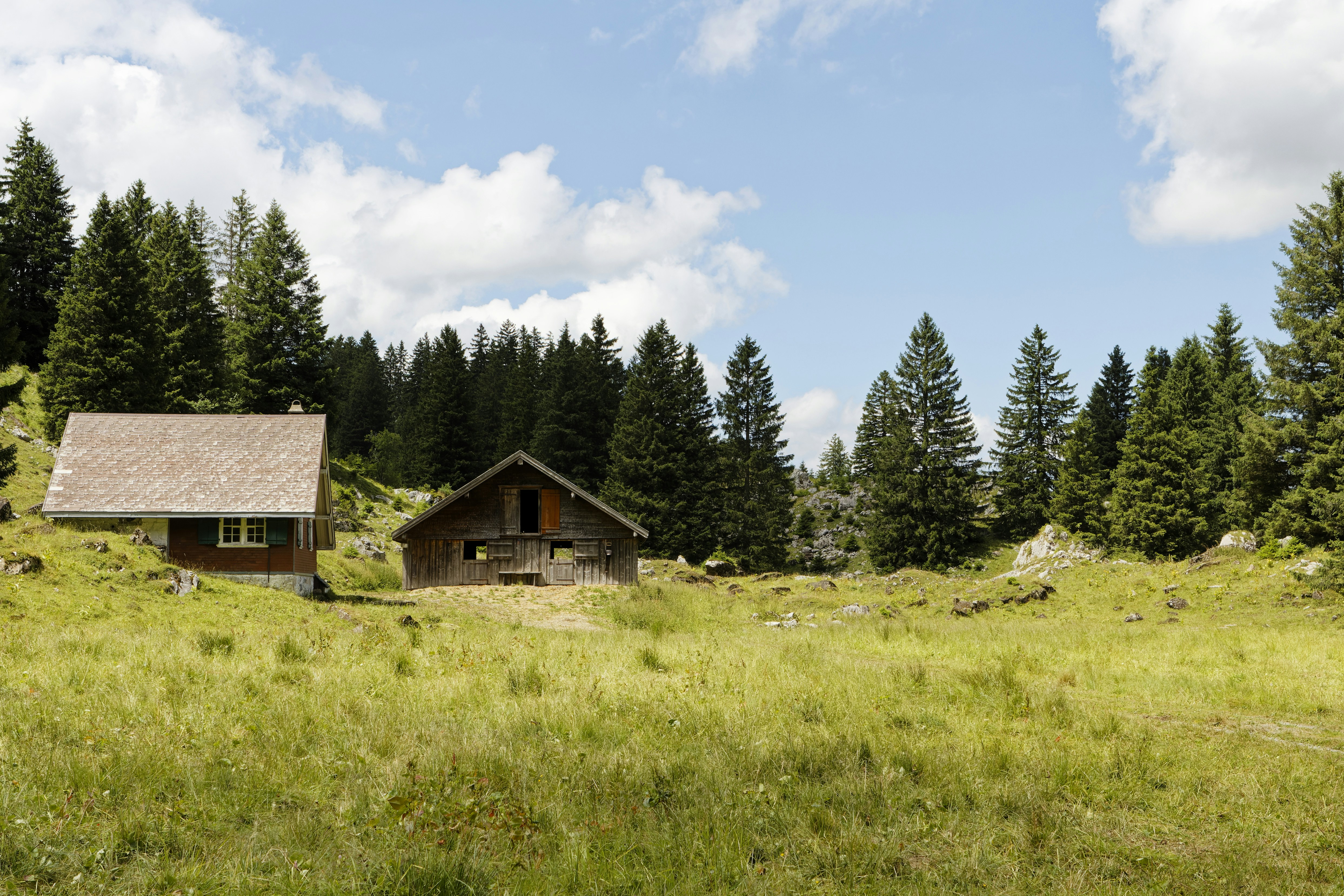 Two rustic cabins nestled in a lush green meadow surrounded by towering conifers under a partly cloudy sky.