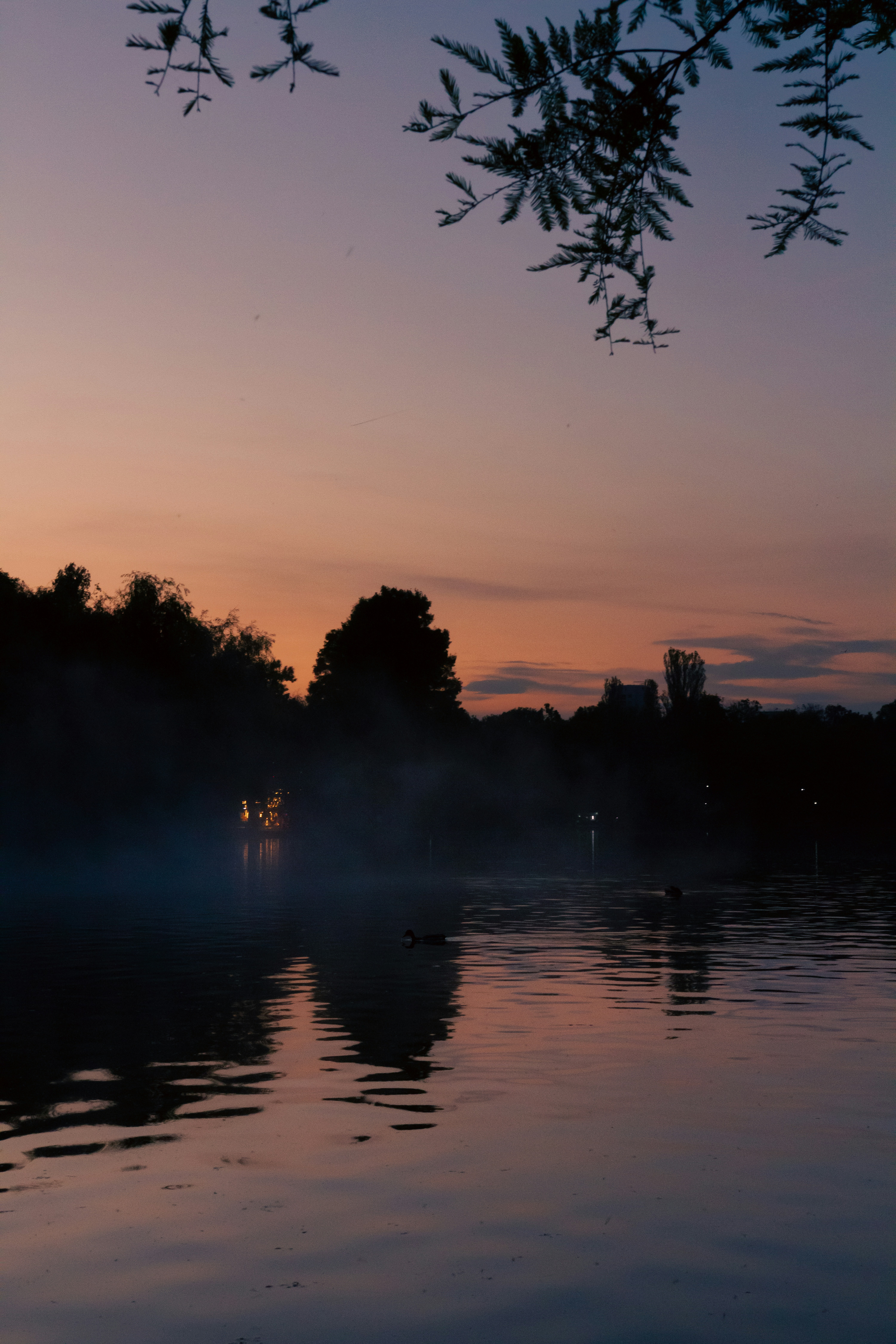 Whispers of Twilight: A Serene Lakeside Encounter