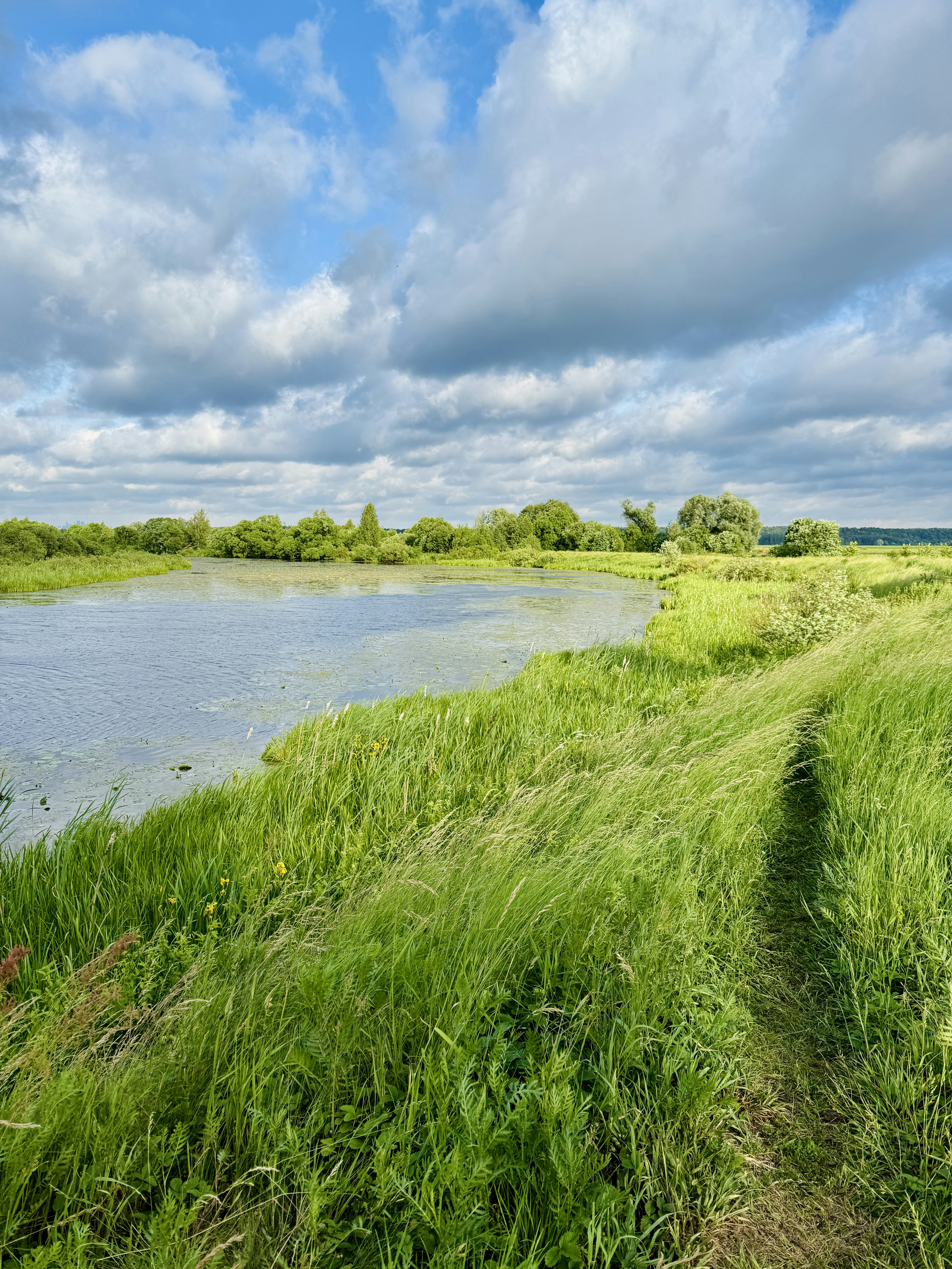 Lush green grass flanks a tranquil waterway under a cloudy sky, inviting peaceful reflection.