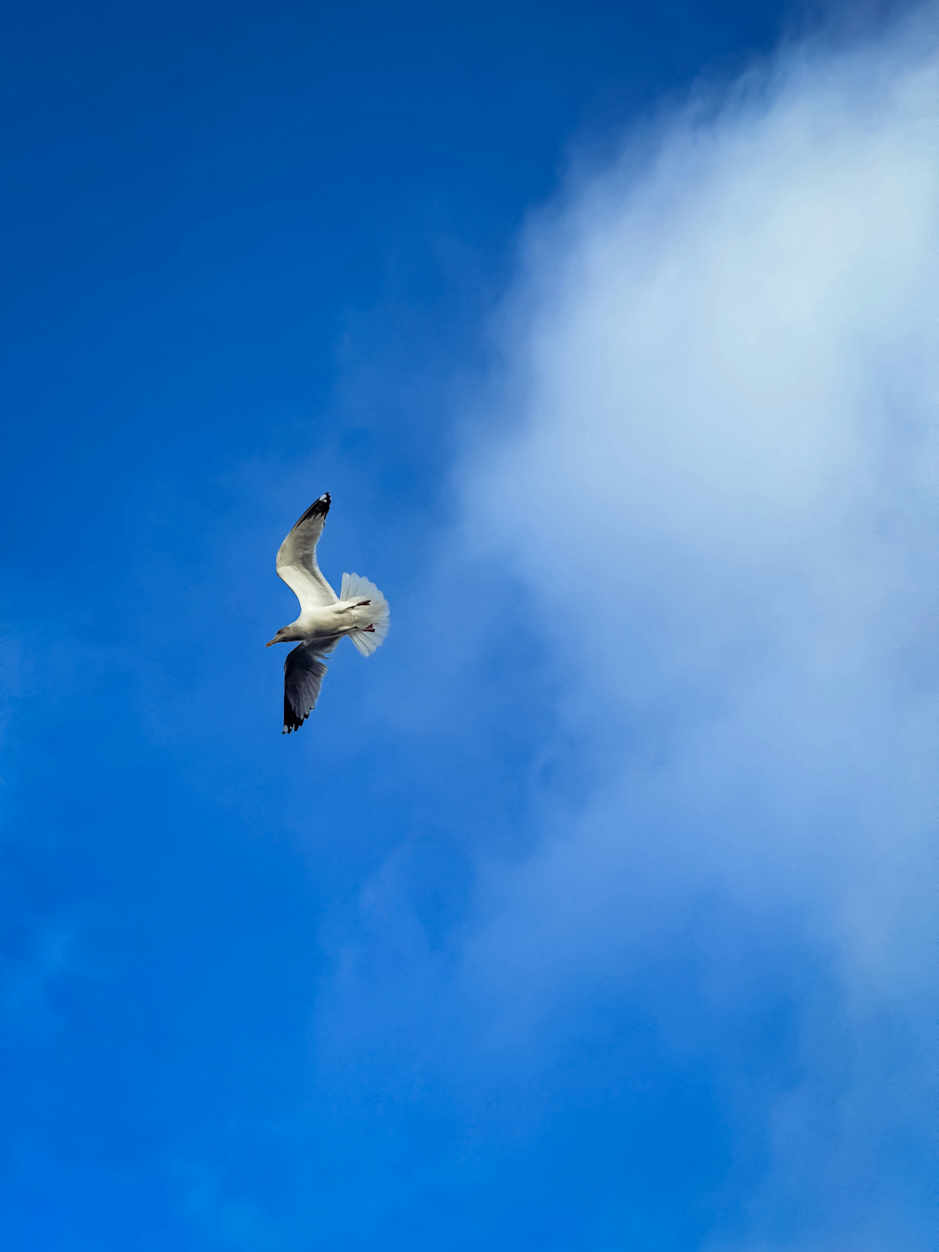 Jesvin Joseph (@jesvin77777) | Unsplash Photo Community
