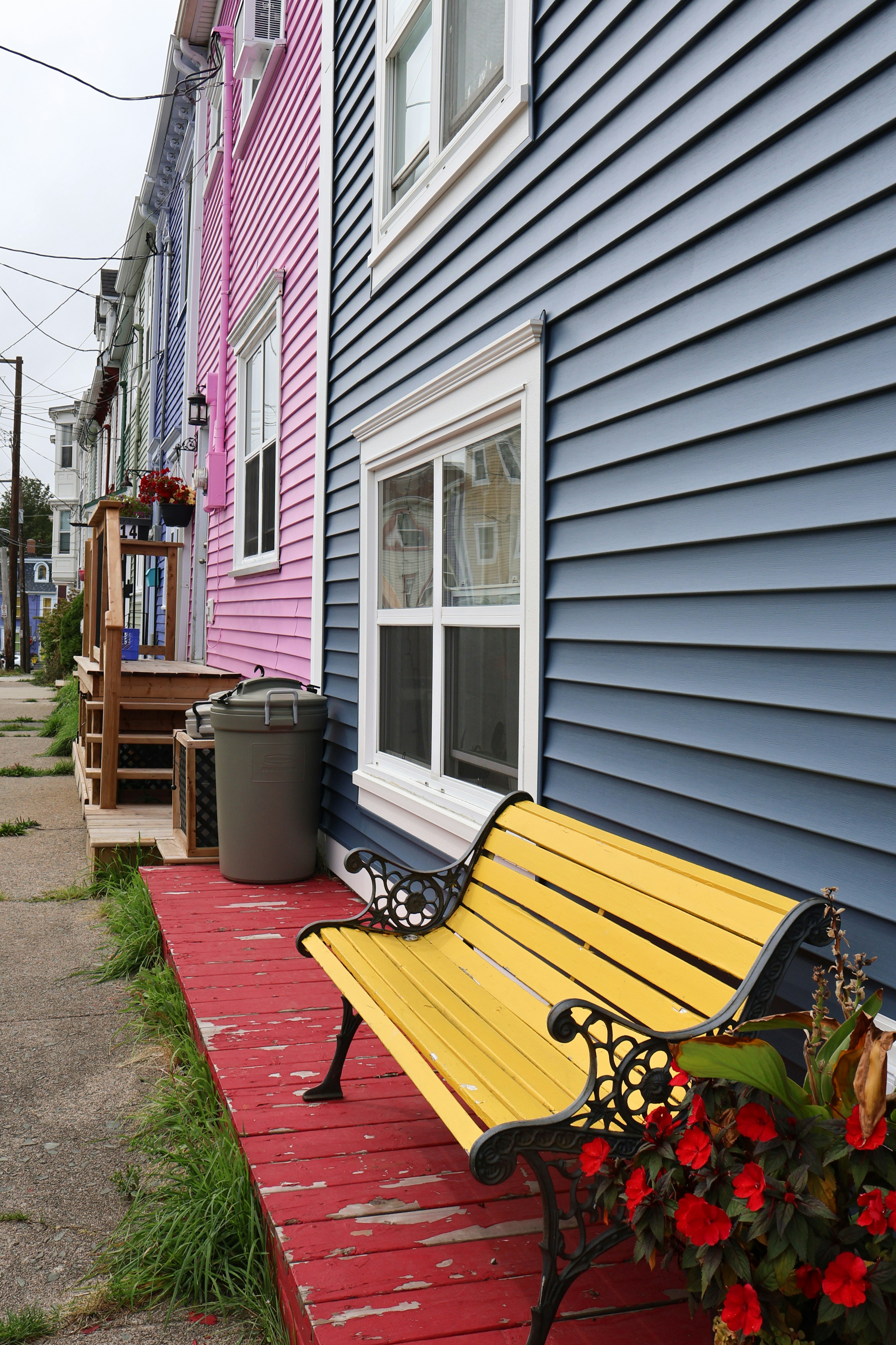 Colorful Harmony: A Vibrant Encounter with Urban Charm