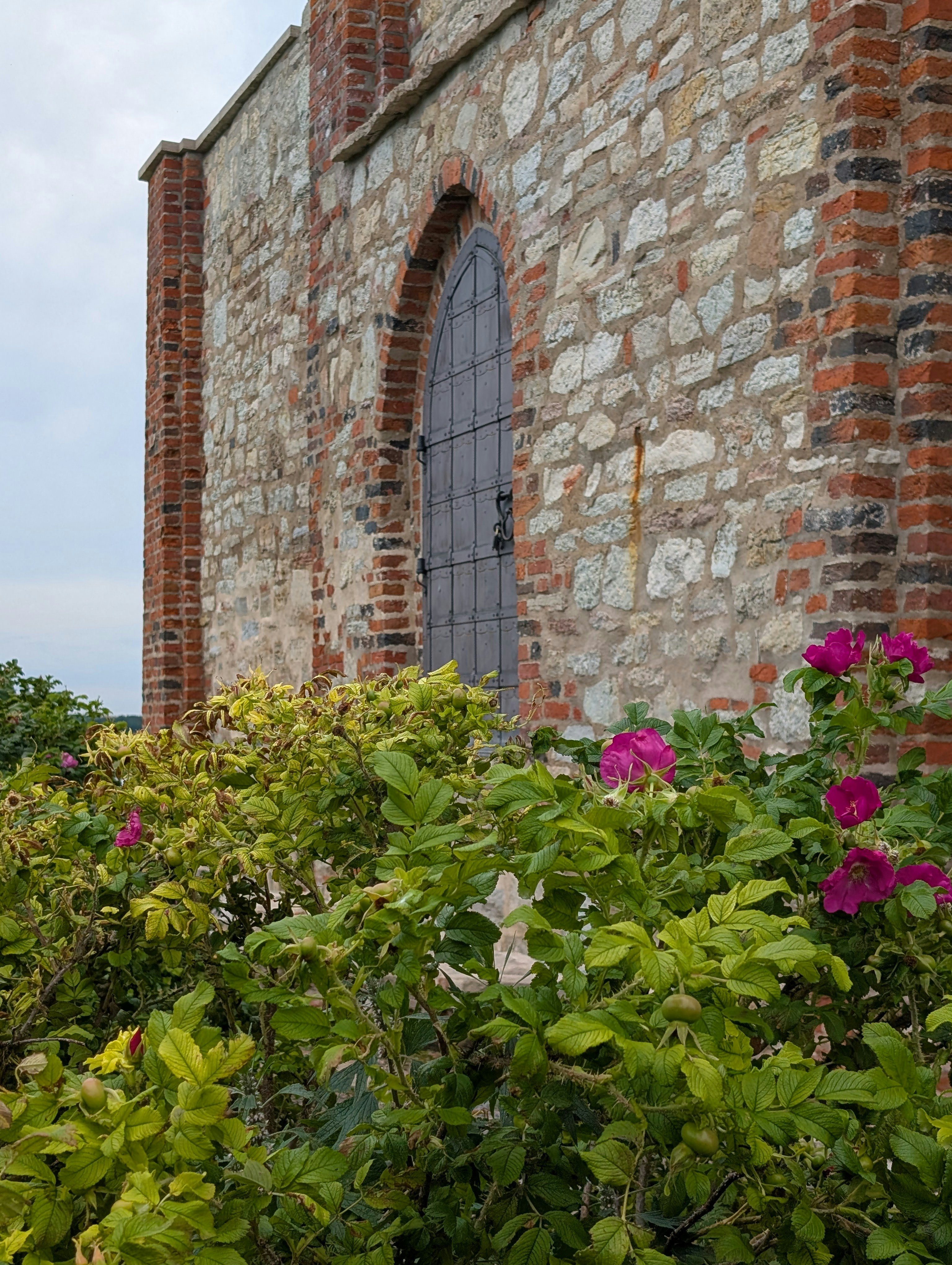 Sweetbrier bushes against an old redbrick wall, Novgorod region | A stone building door is framed by pink flowers.