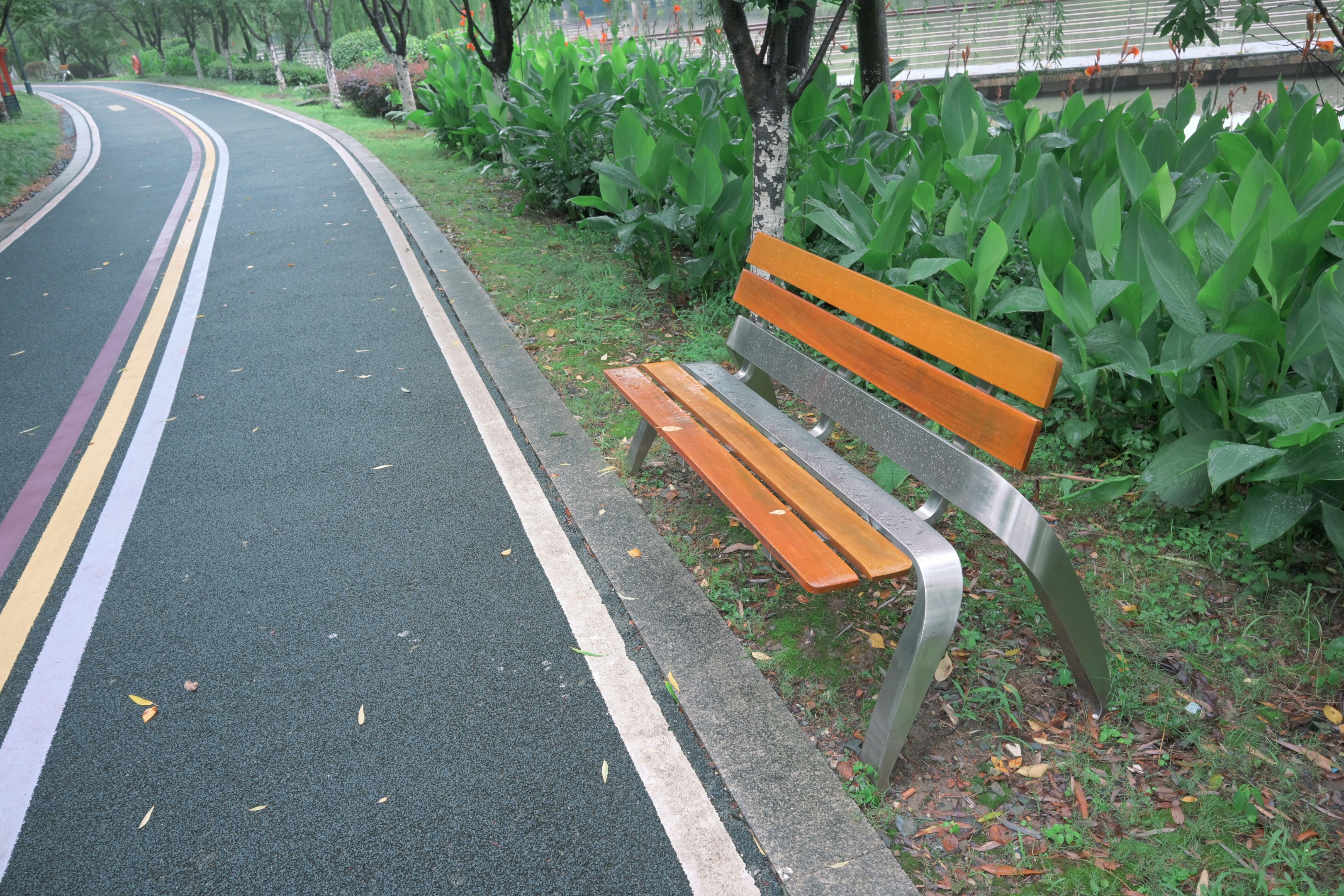 A park bench sits beside a winding pathway.