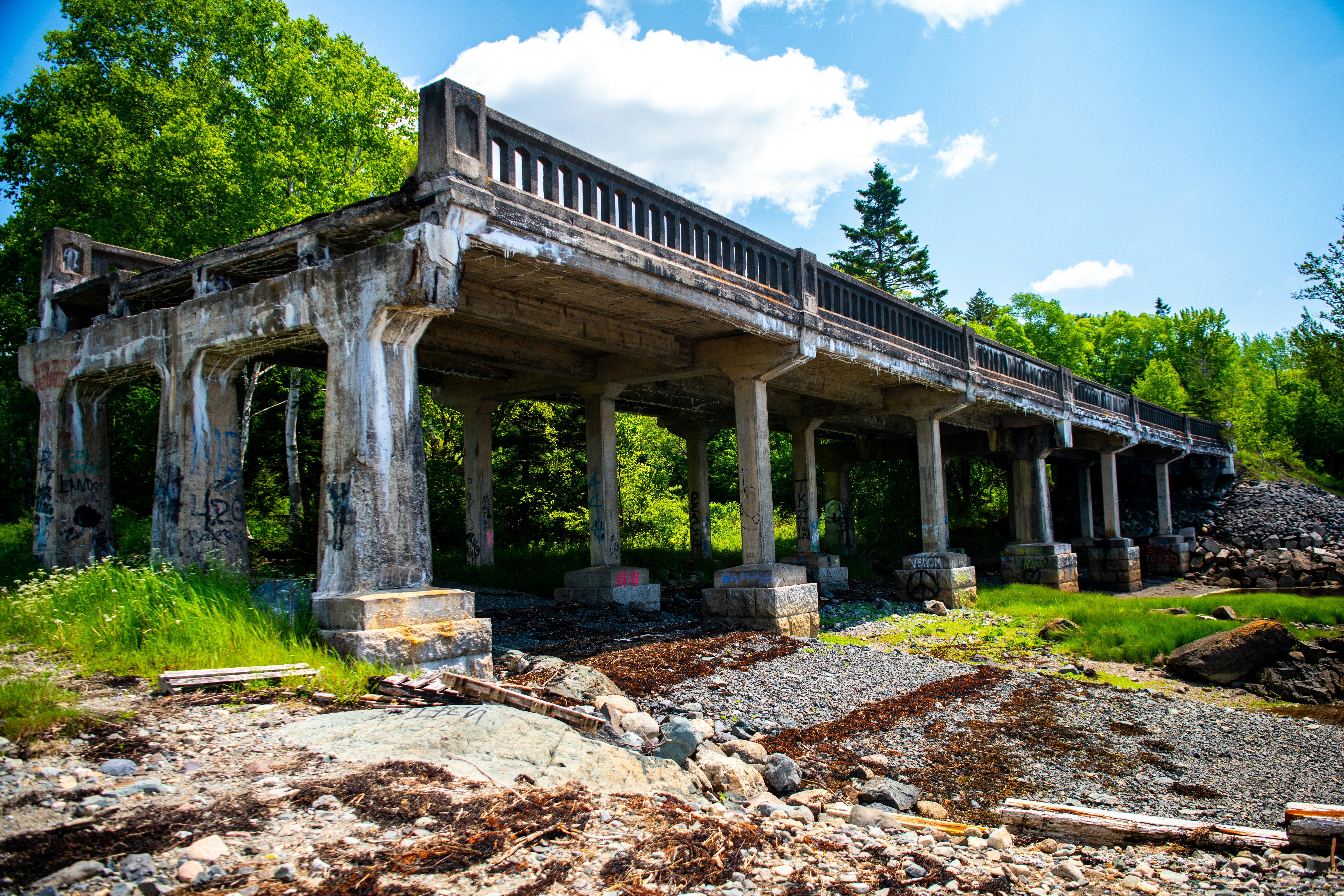 Abandoned concrete bridge stands resilient amidst overgrown greenery and rocky shoreline, showcasing nature's reclaiming touch.