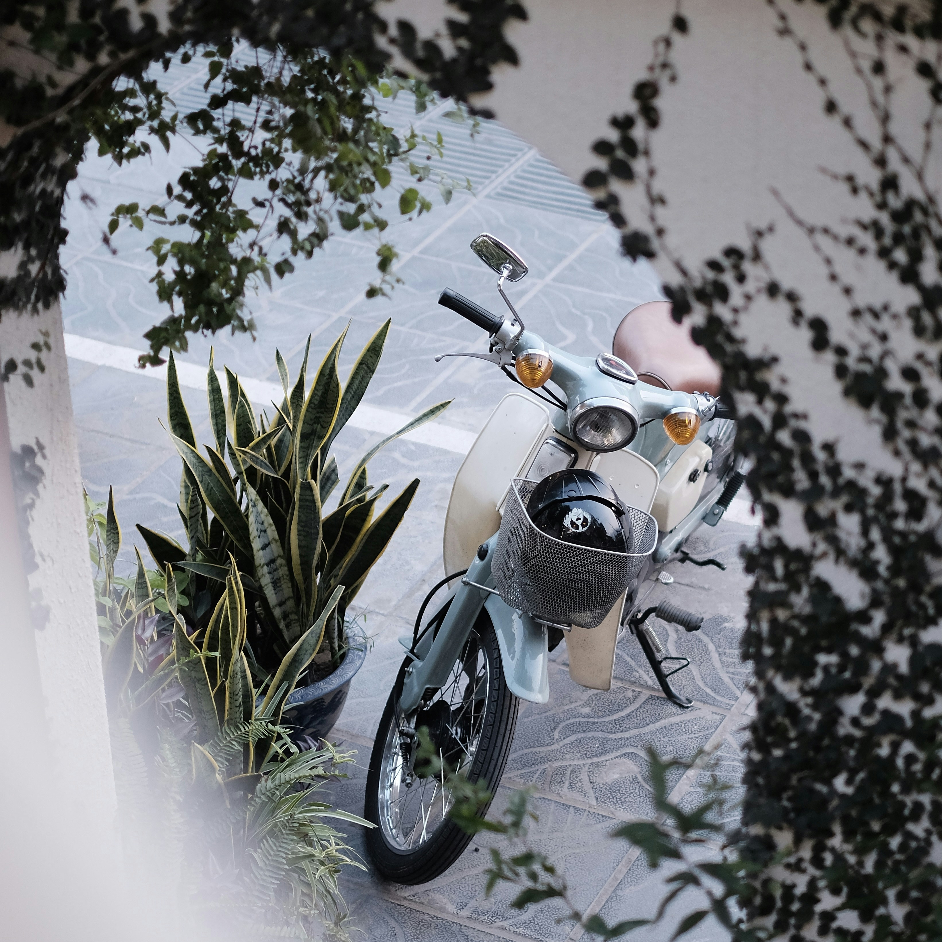 Nostalgic! | A vintage scooter is parked near a greenery.