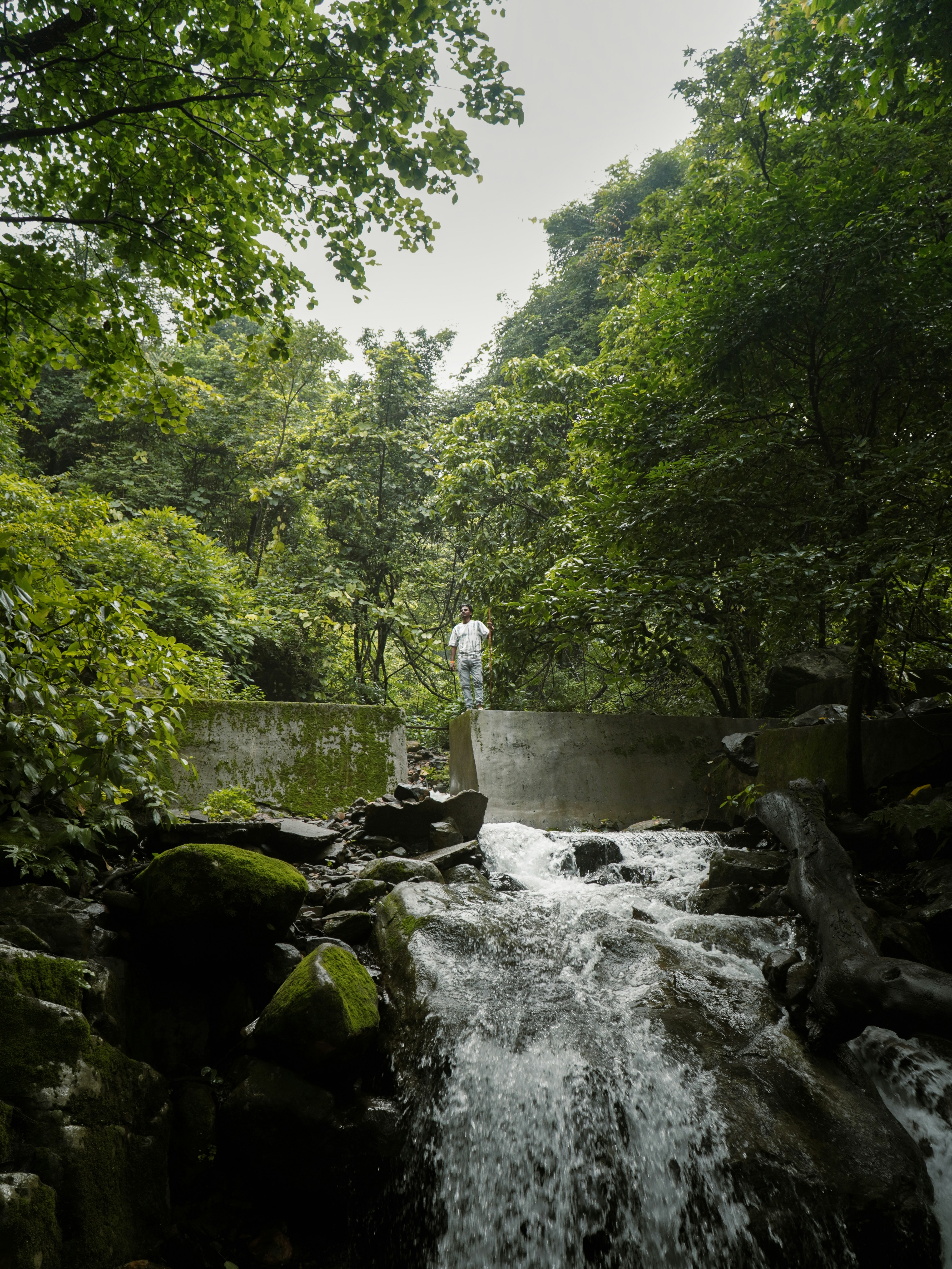 Whispers of the Wilderness: A Solitary Figure Amidst Nature's Embrace