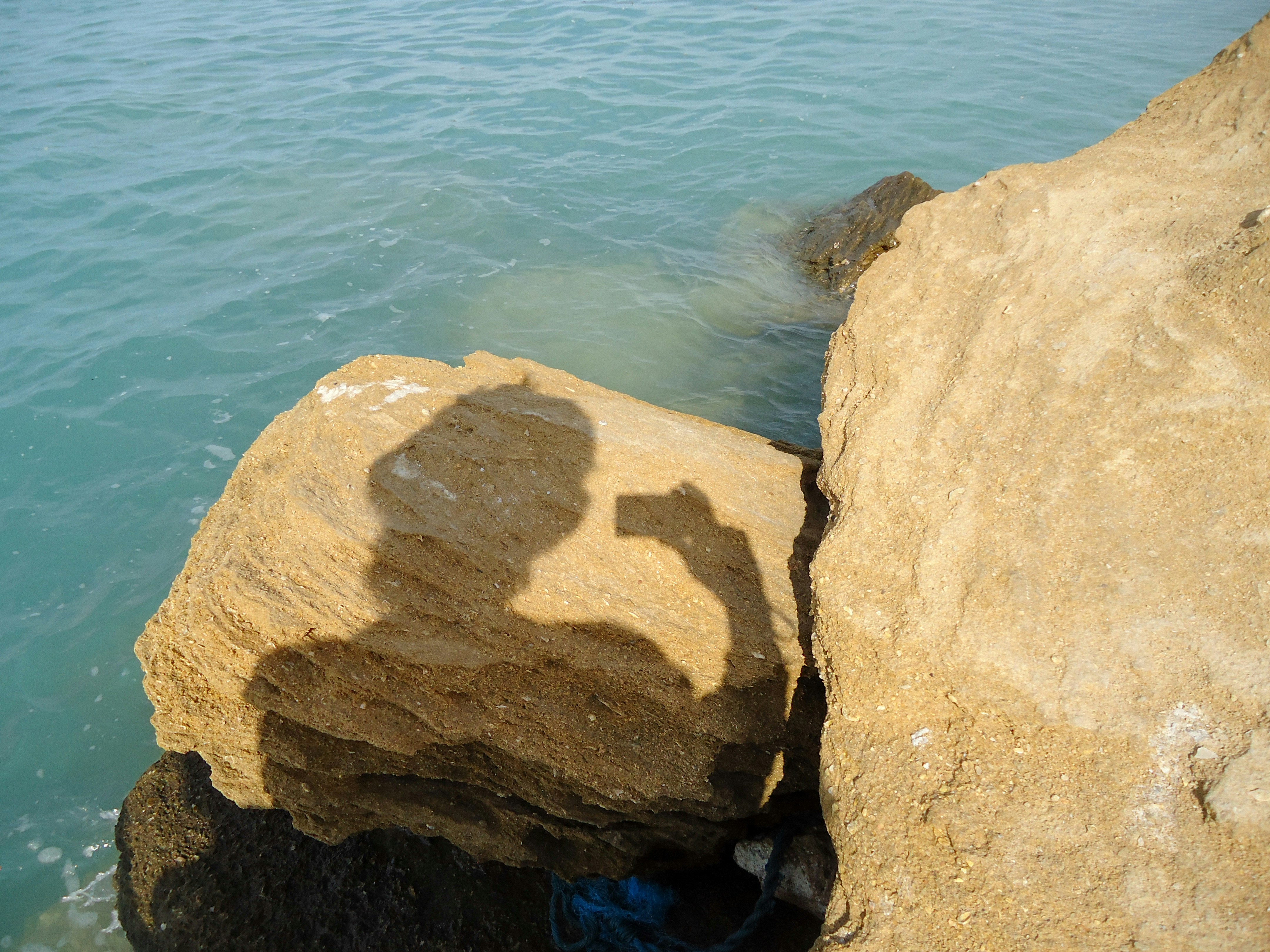 A person's shadow is taking a photo.