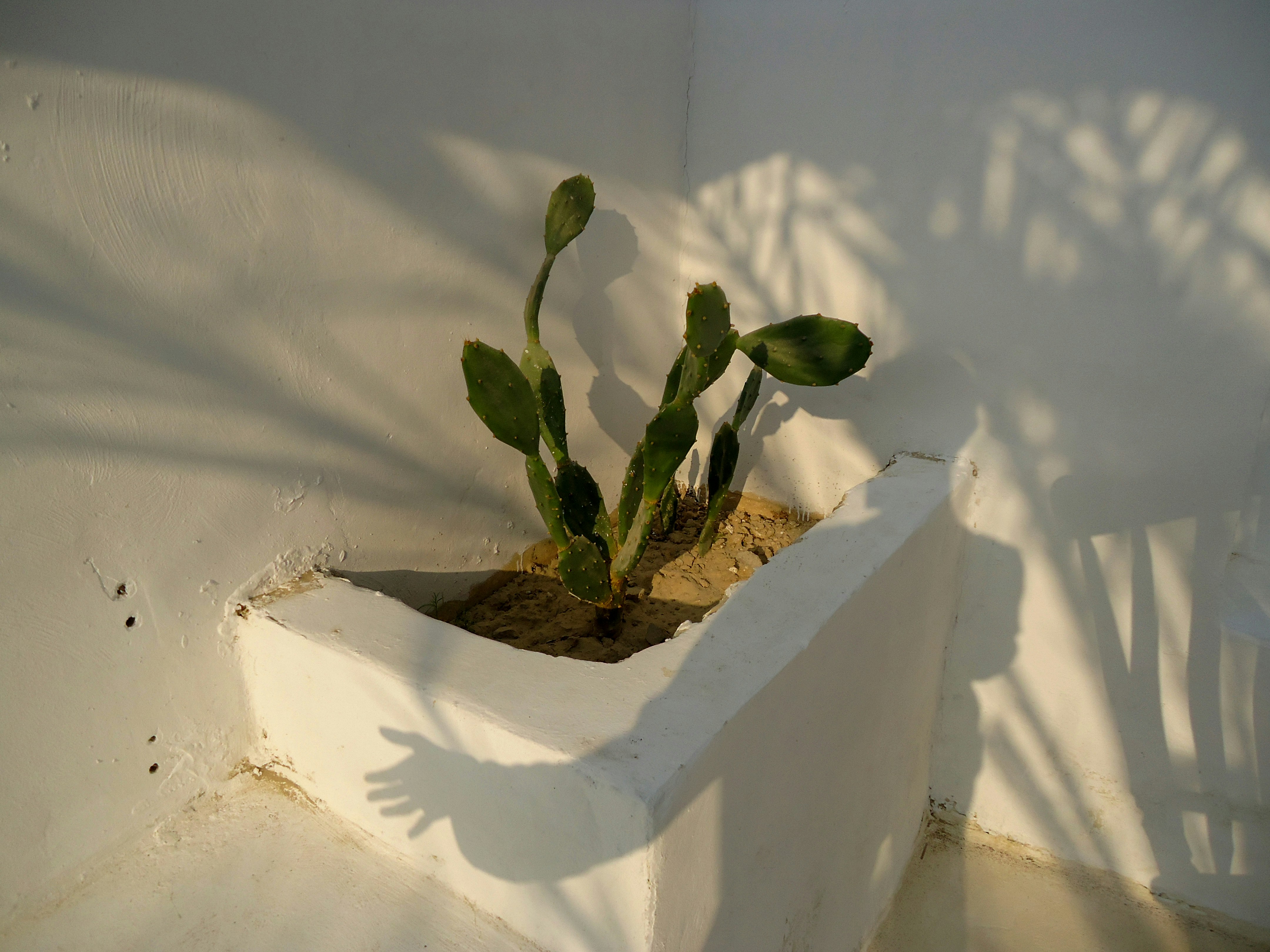 Sample photo from Sony Cyber-shot W530