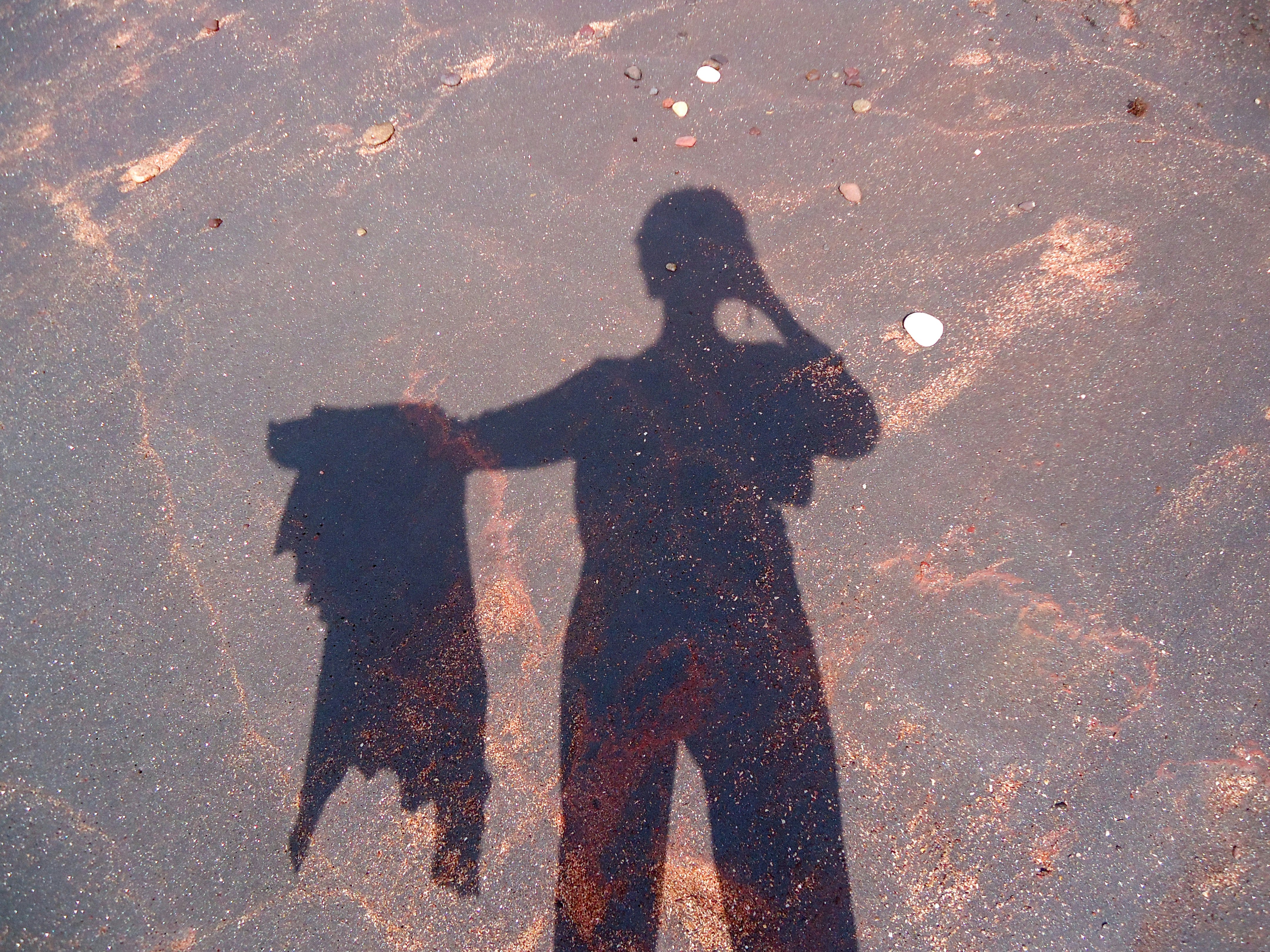 Sample photo from Sony Cyber-shot W530