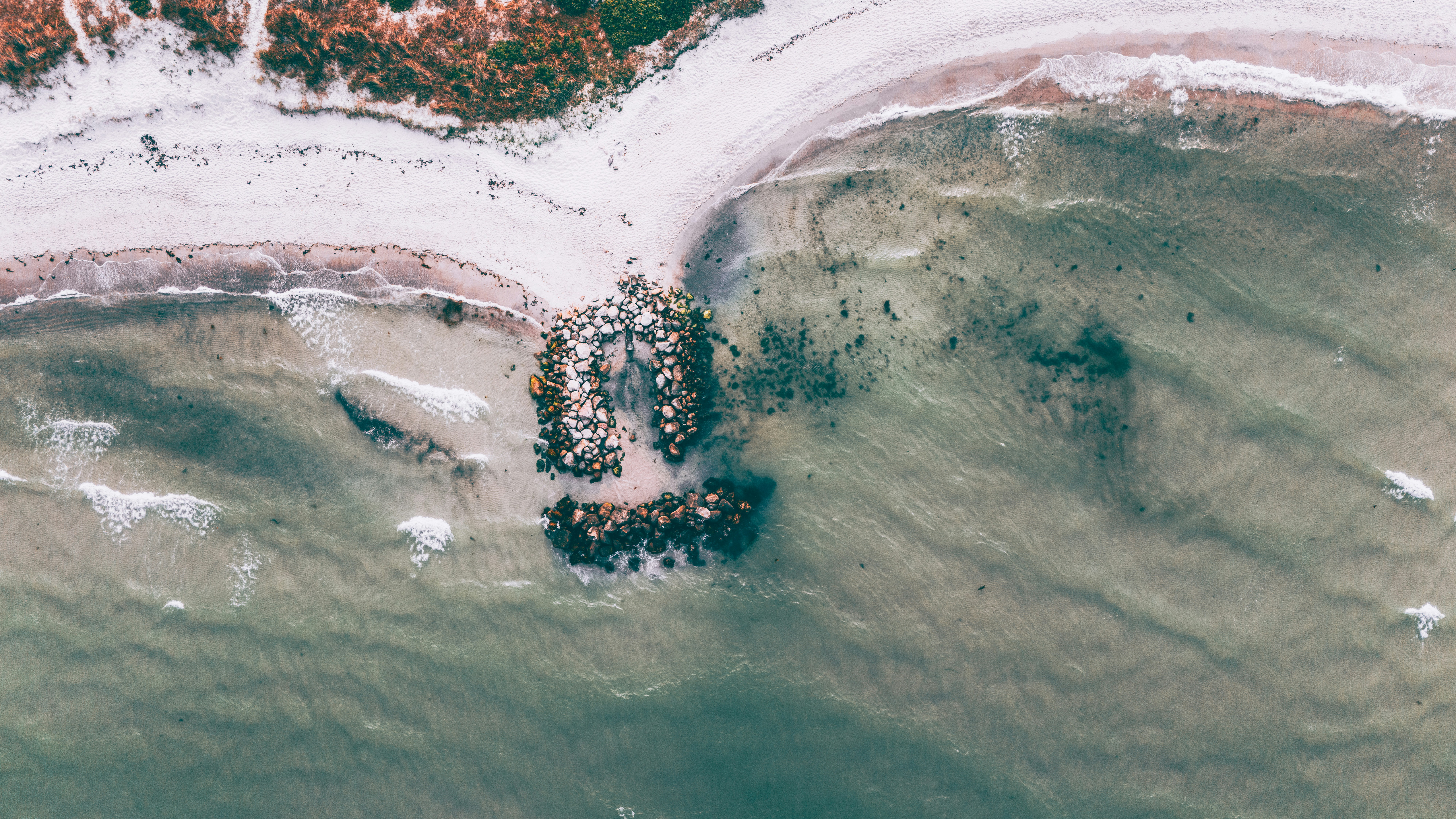 Nature's Mosaic: A Coastal Tapestry
